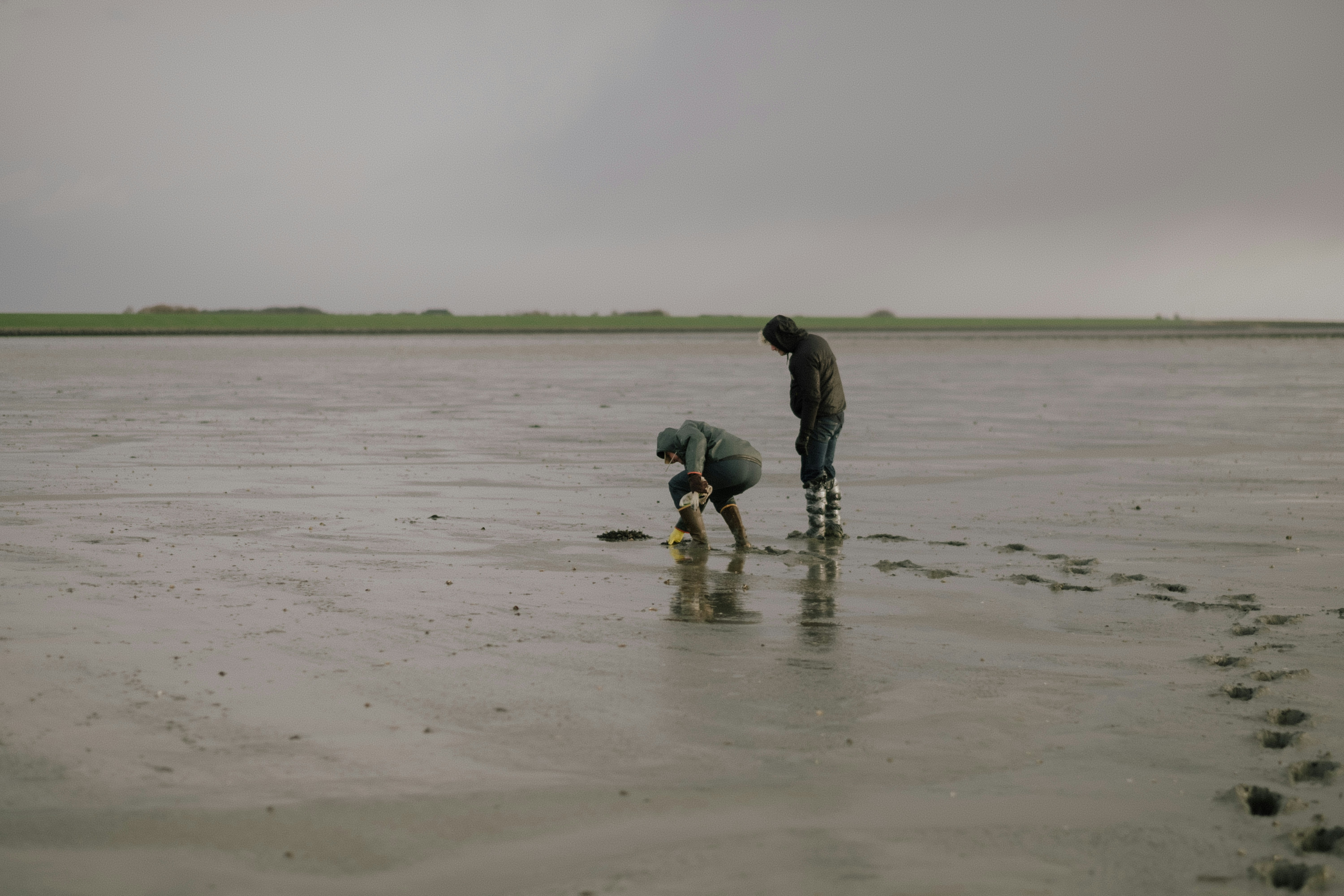 Footprints in Tidal Gray: Two Figures Explore the Mudflats
