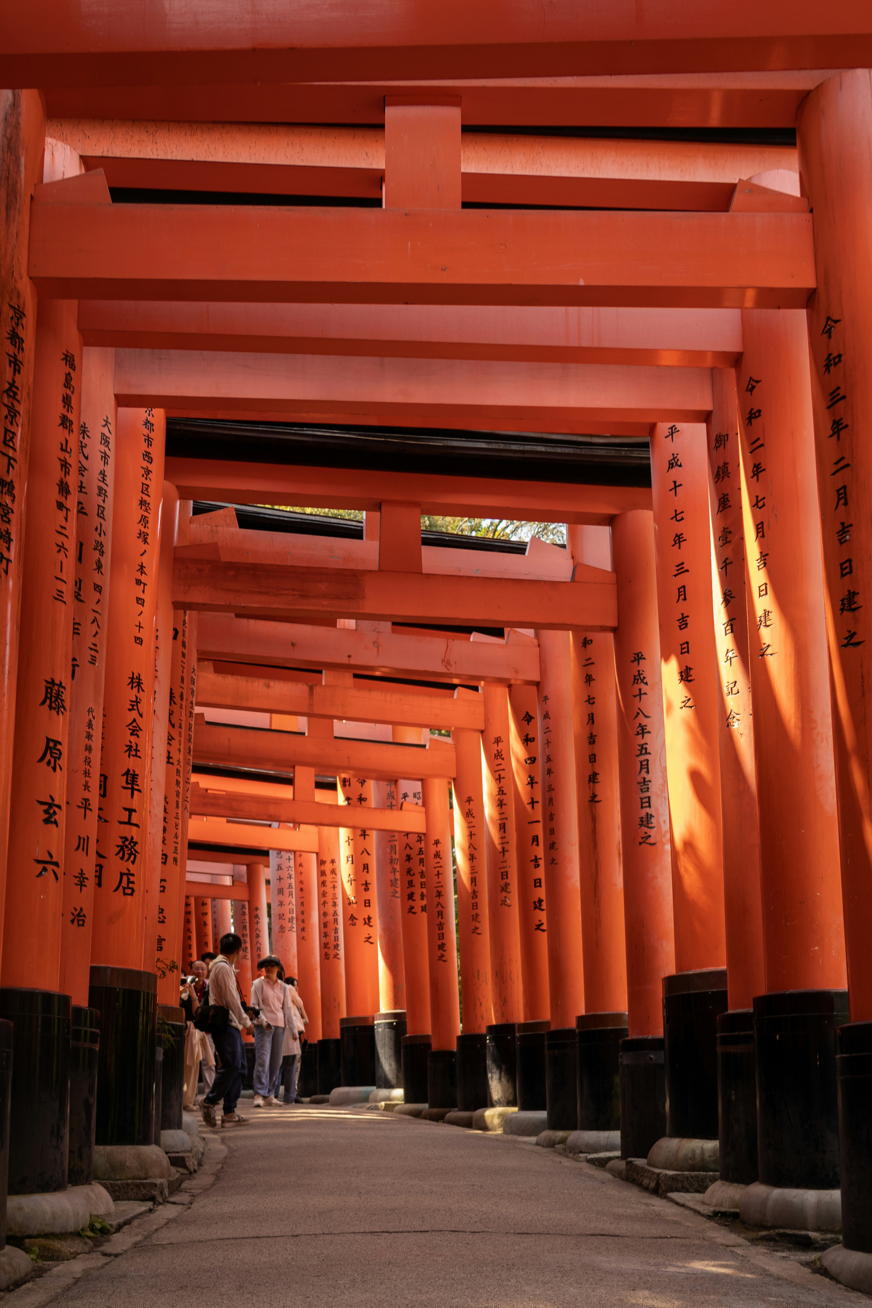 Crimson Gates: A Tunnel of Torii in Equal Light