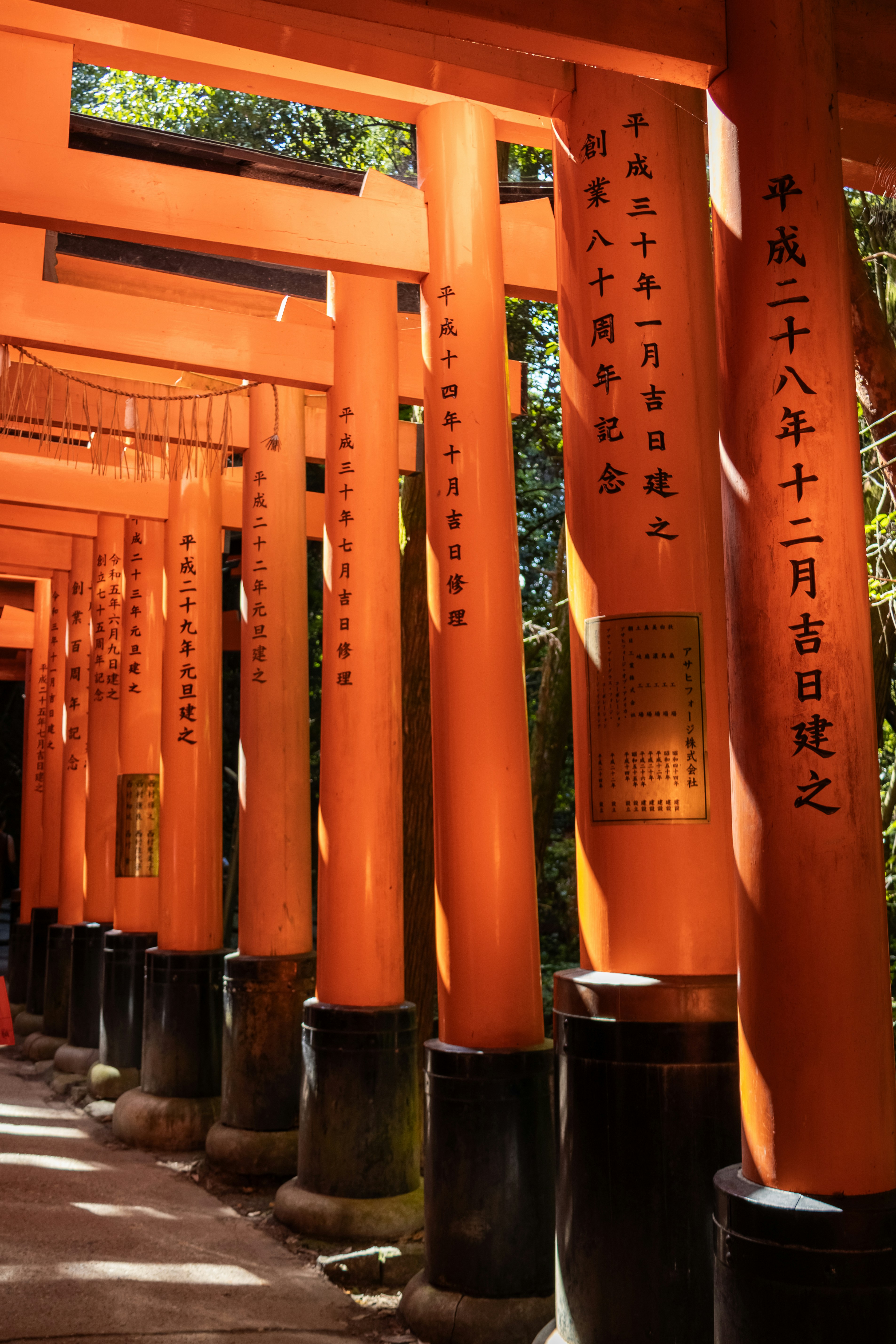 Row of Vermilion Torii: A Corridor of Signs in Warm Light