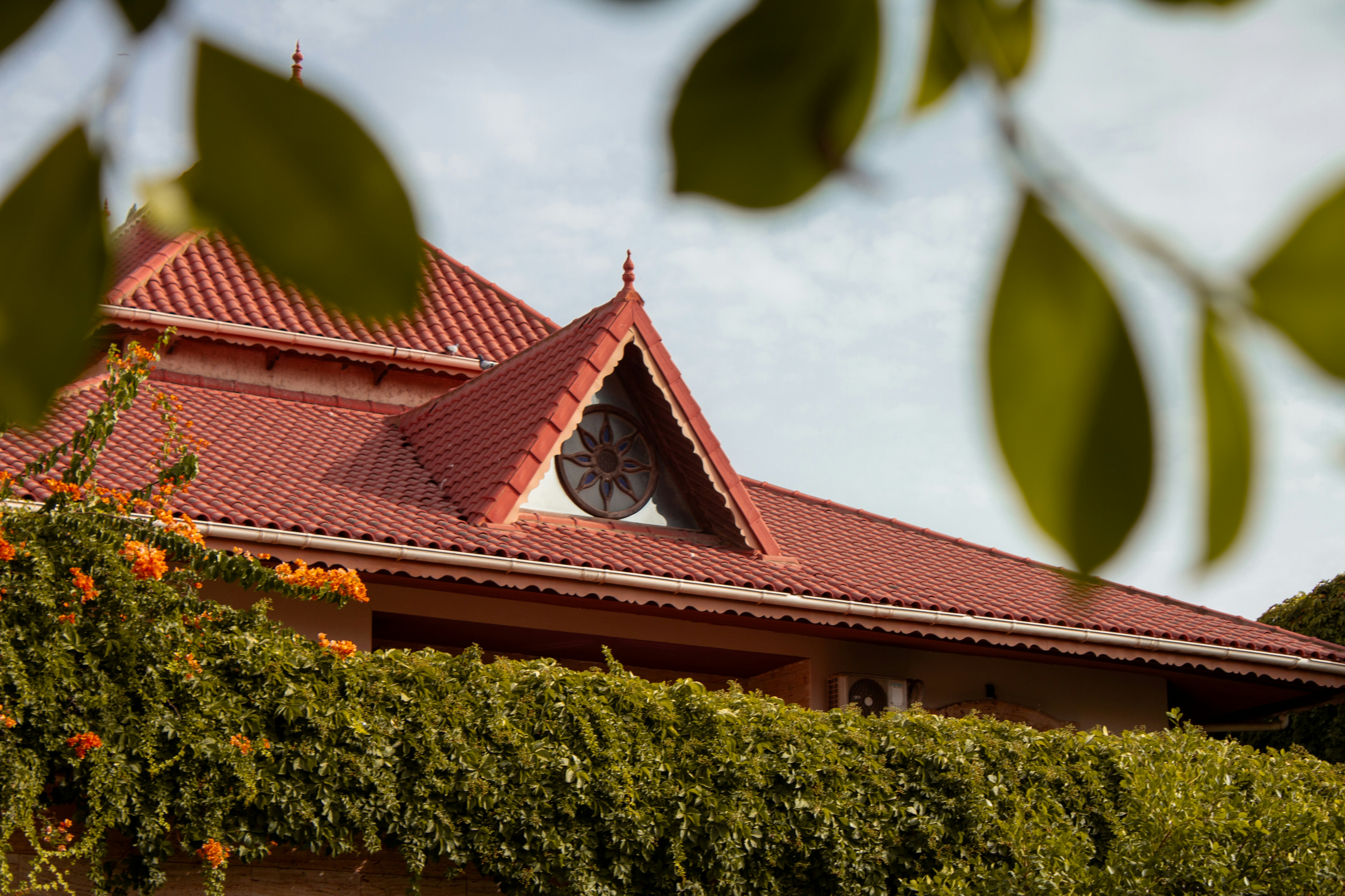 Terracotta Roofline Beneath a Framing of Leaves