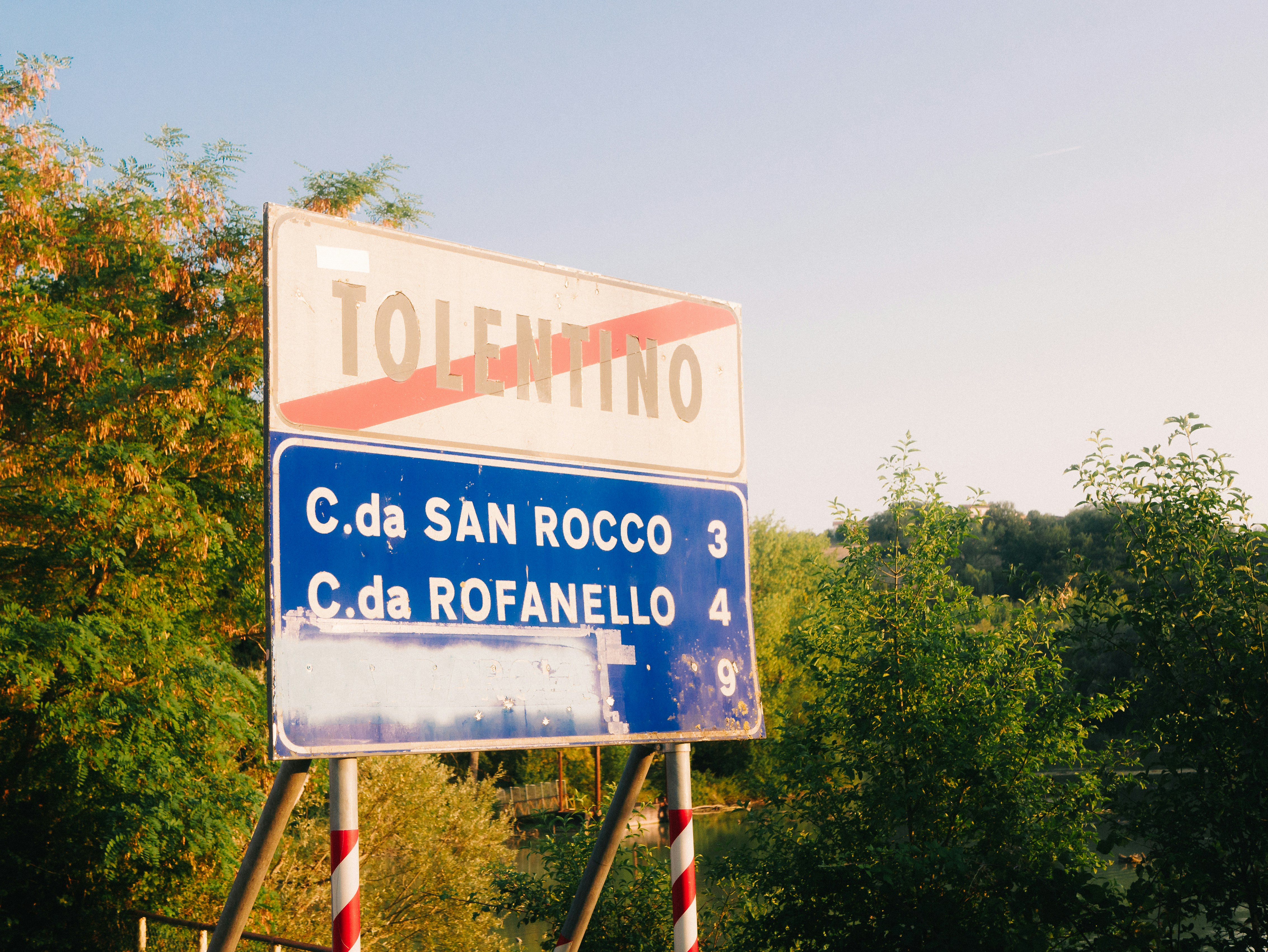 Weathered Road Sign Framed by Dappled Spring Light