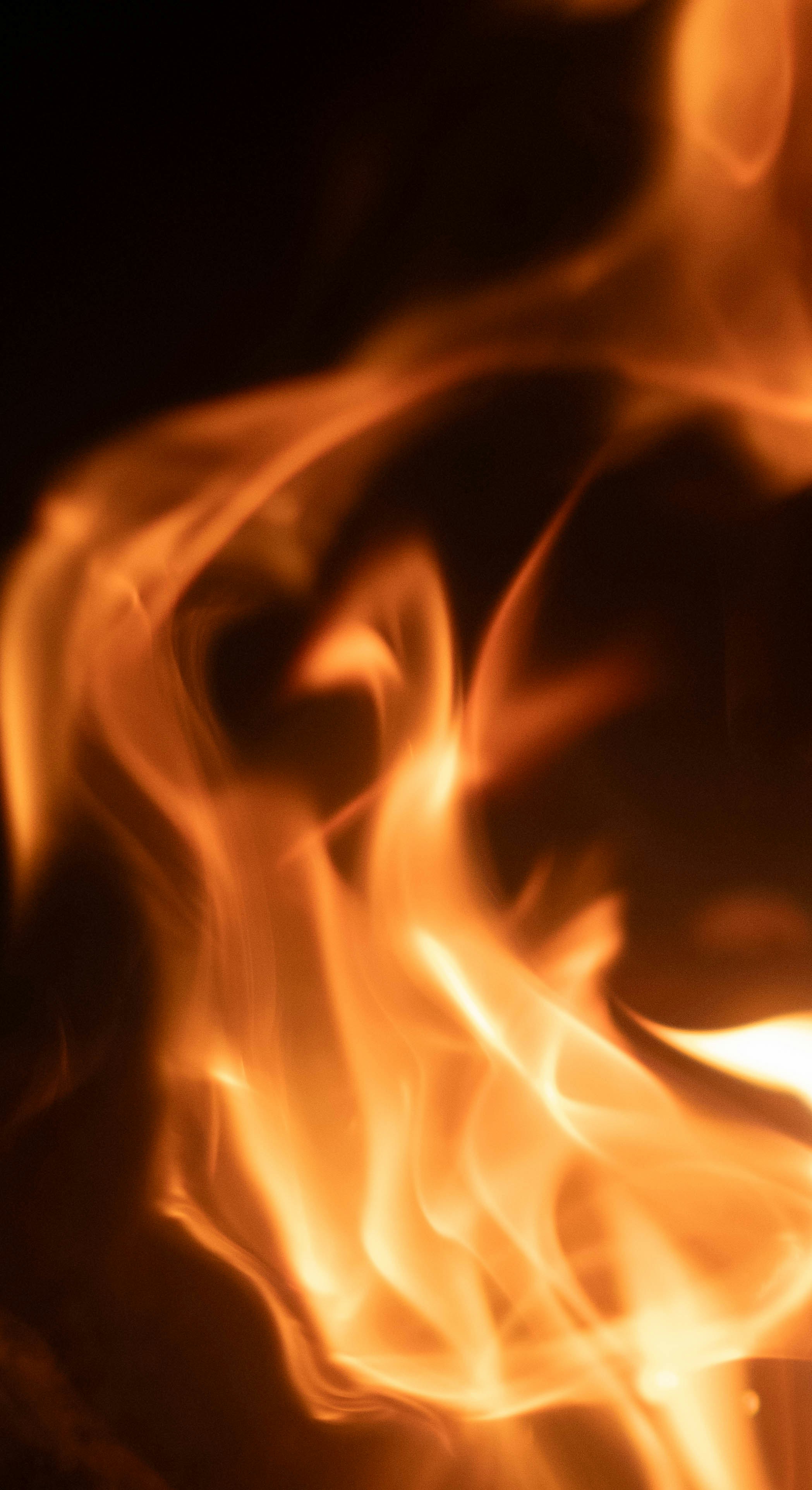 Inferno in Focus: Whipped Flame Crest