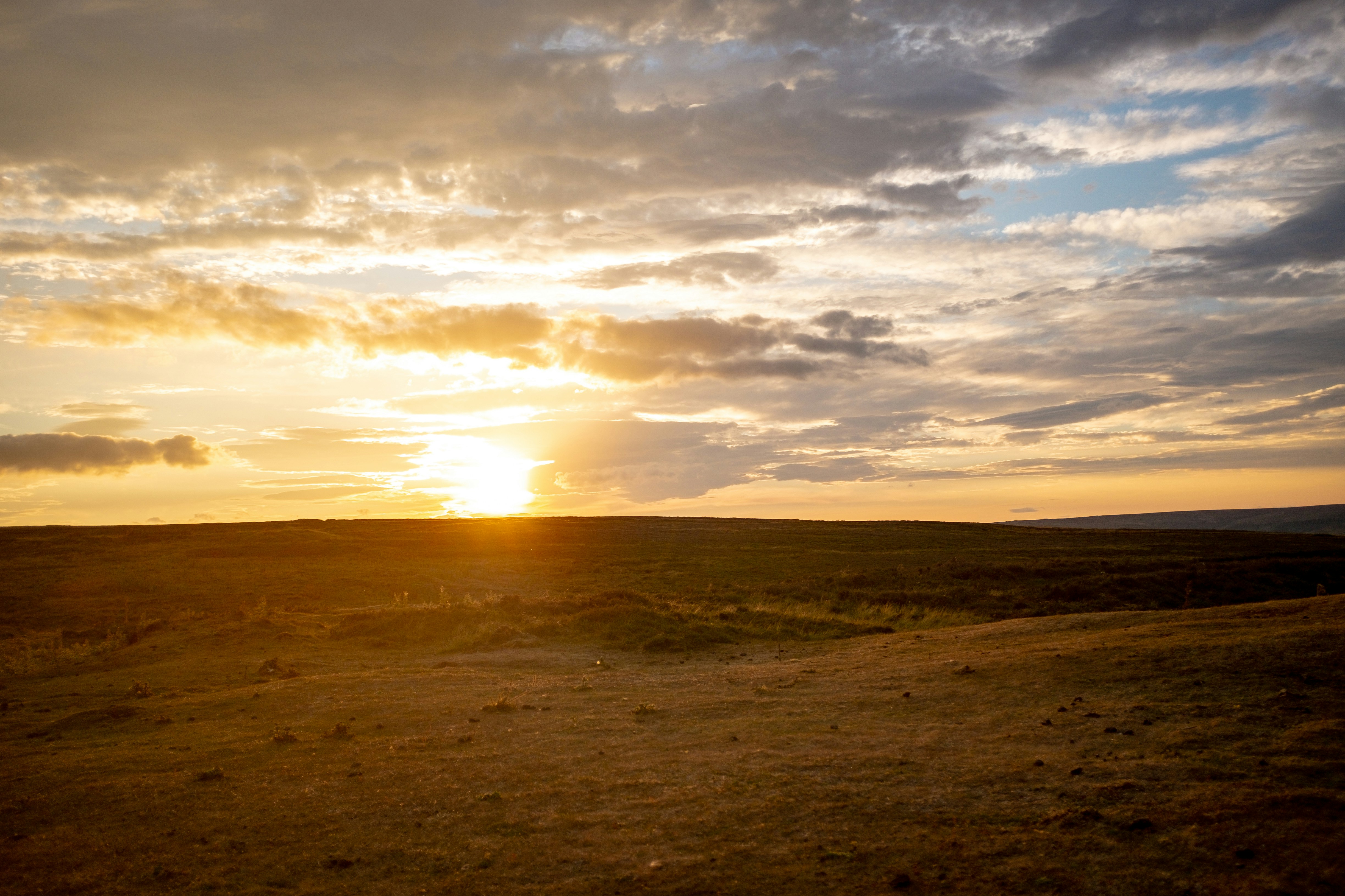 Golden Horizon: The Quiet Throttle of Dusk Over Open Moor