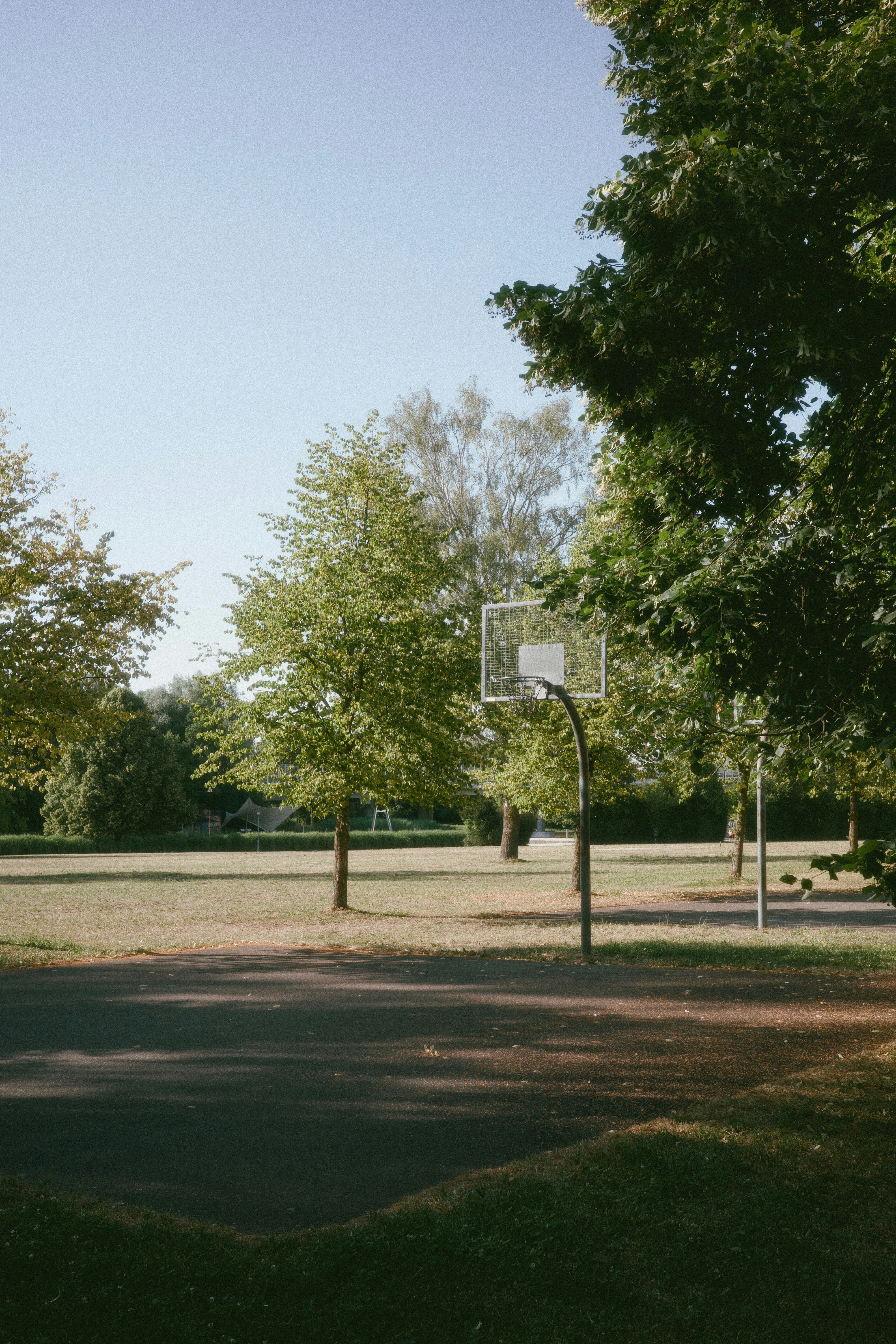 Basketball Court in Dappled Park Morning