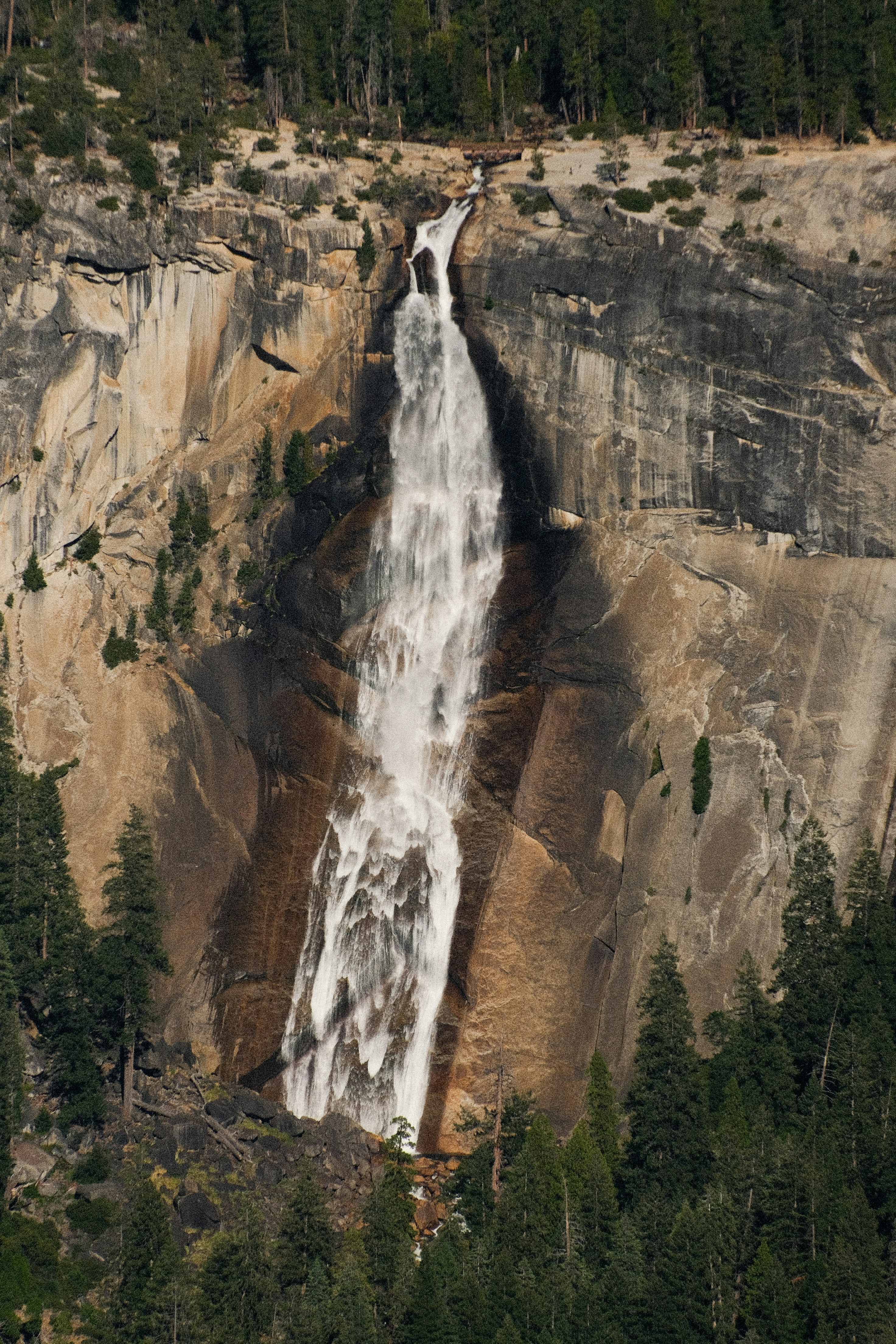 Cascading Thin Ribbon: A Lone Waterfall Carving Granite Between Pines