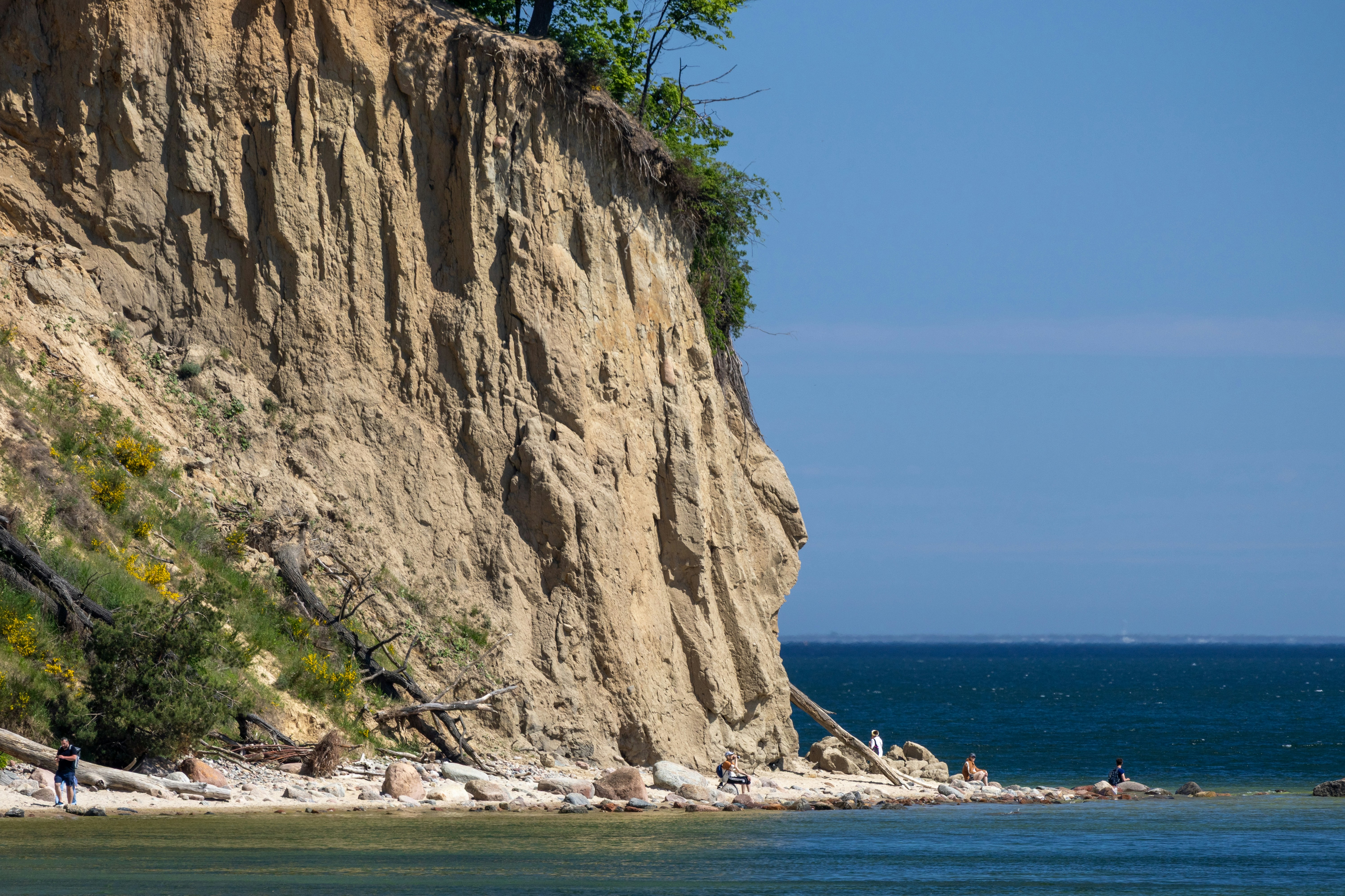 Cliffside Shoreline: Light, Wind, and Tide