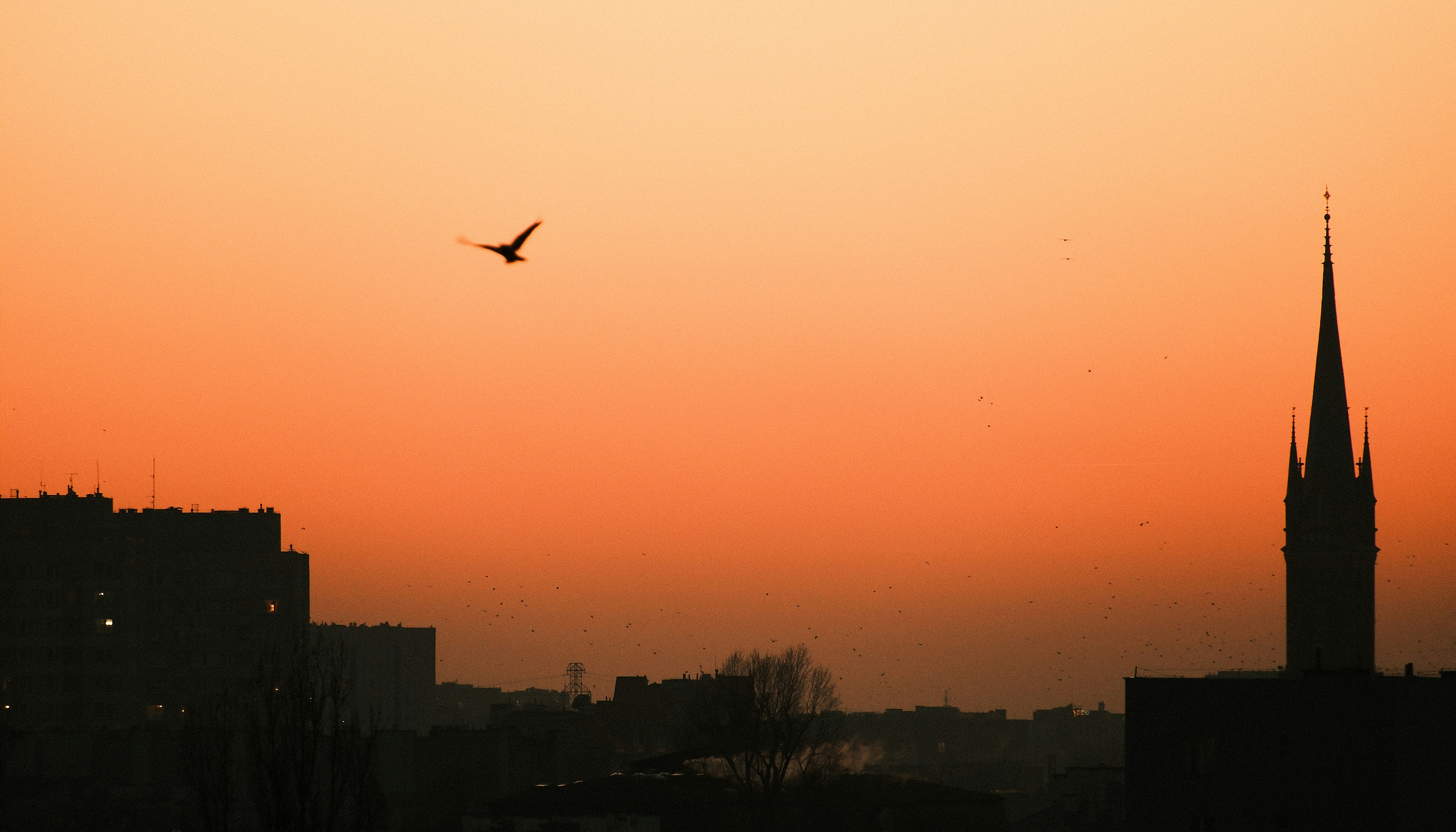 A lone black crow is captured in mid-flight against a fiery, golden sunset over the skyline of Warsaw (Warszawa), Poland. The silhouette of the Church of St. Wojciech (Kościół parafialny św. Stanisława Biskupa) and distant urban rooftops create a moody, post-punk atmosphere under a heavy winter sky. This cinematic shot evokes the solitary and somewhat depressive energy of a large city in December.