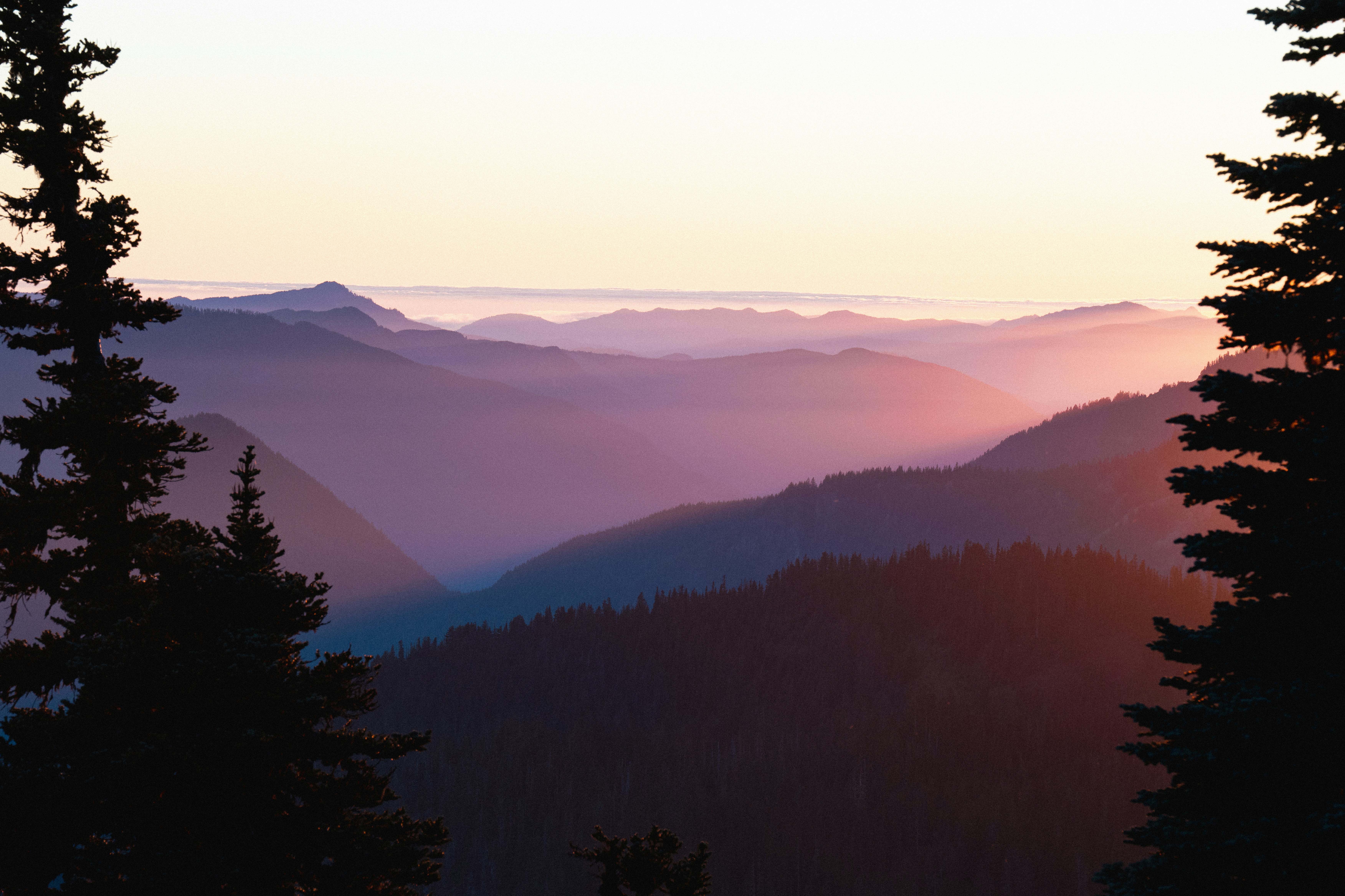 Photo by Jonathan Adams with Sony Alpha 7 IV