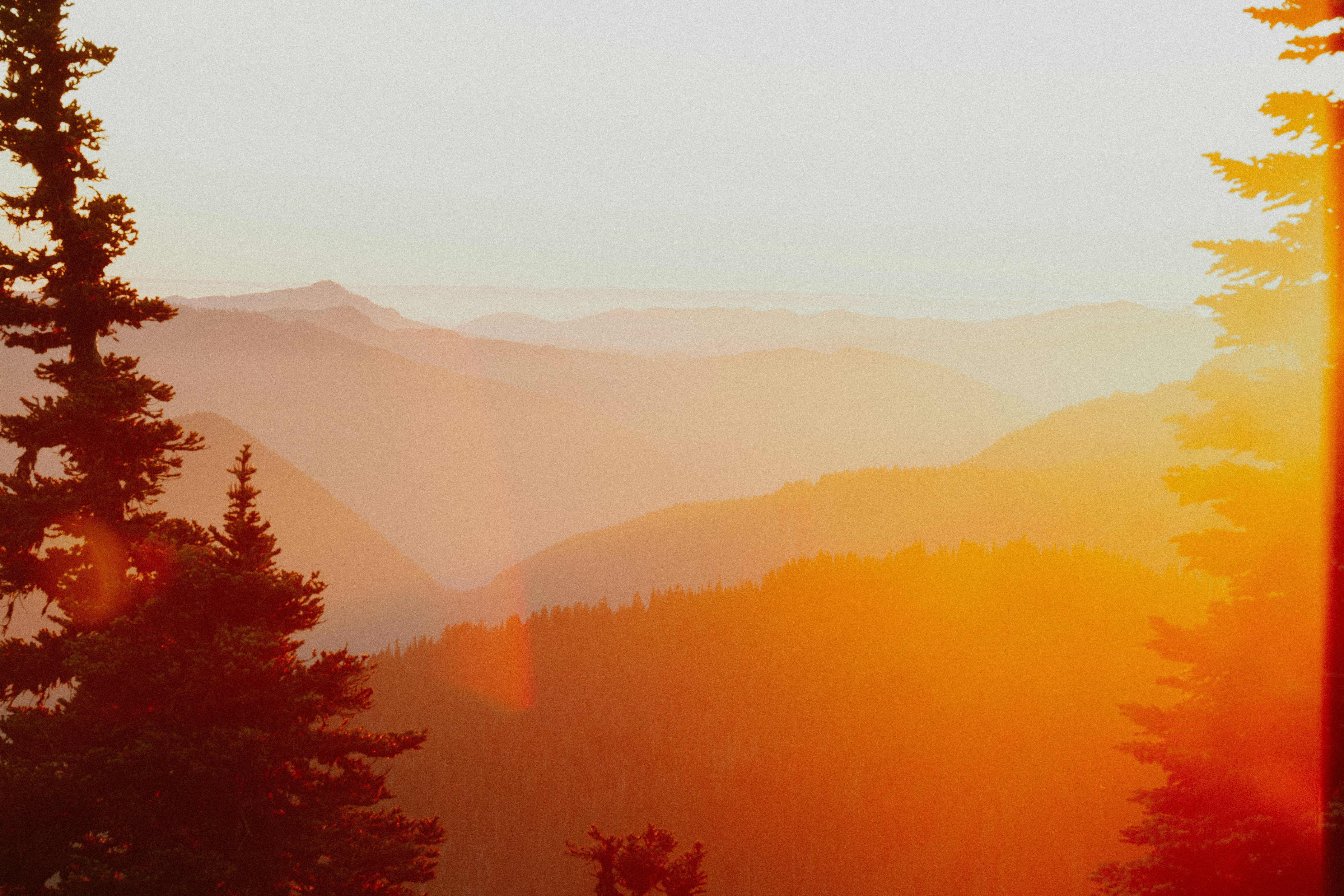 Golden Veil over the Valley: Misty Mountains at Sunset
