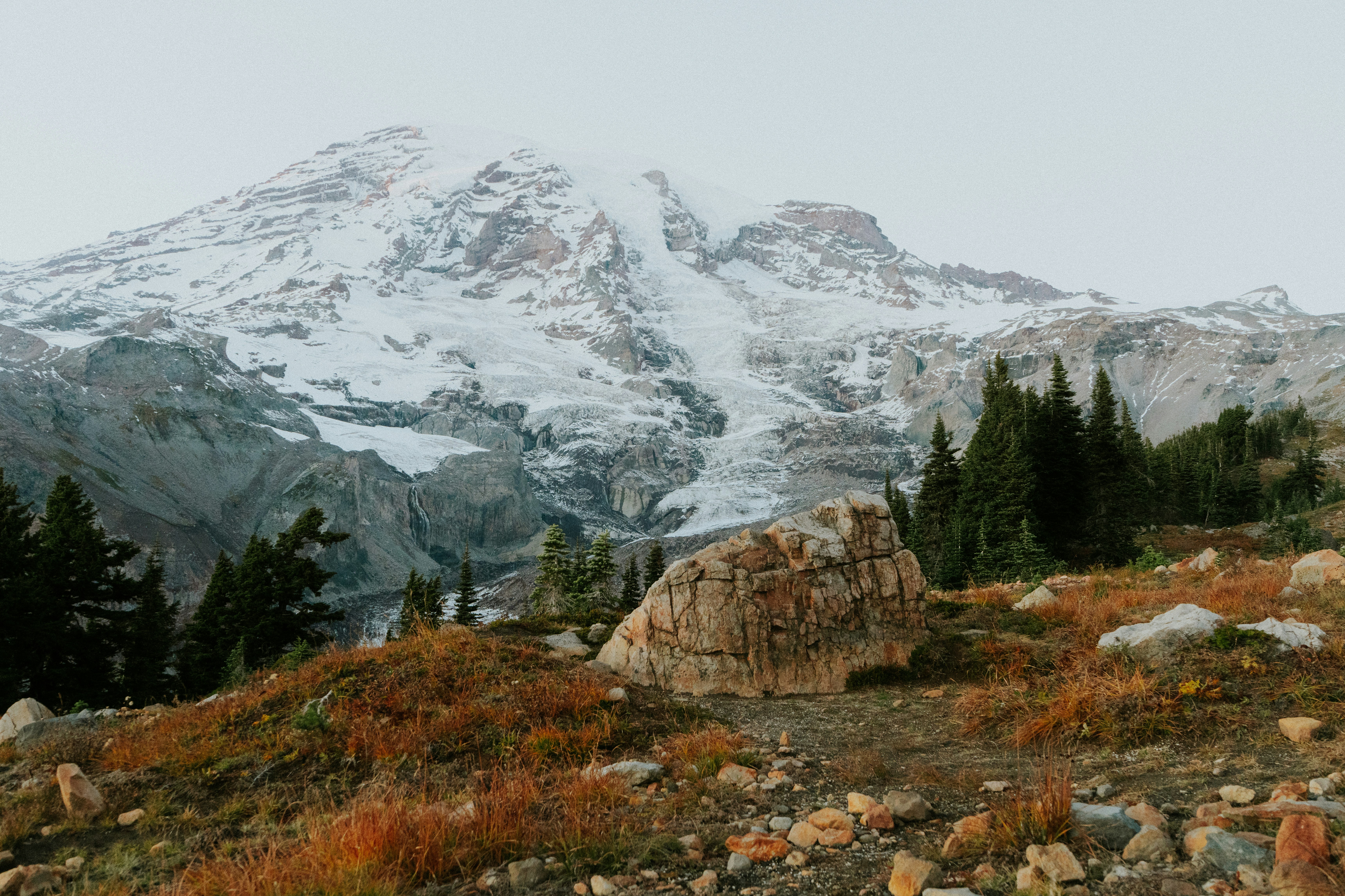 Rugged Alpine Foreground Framing a Snow-Capped Summit