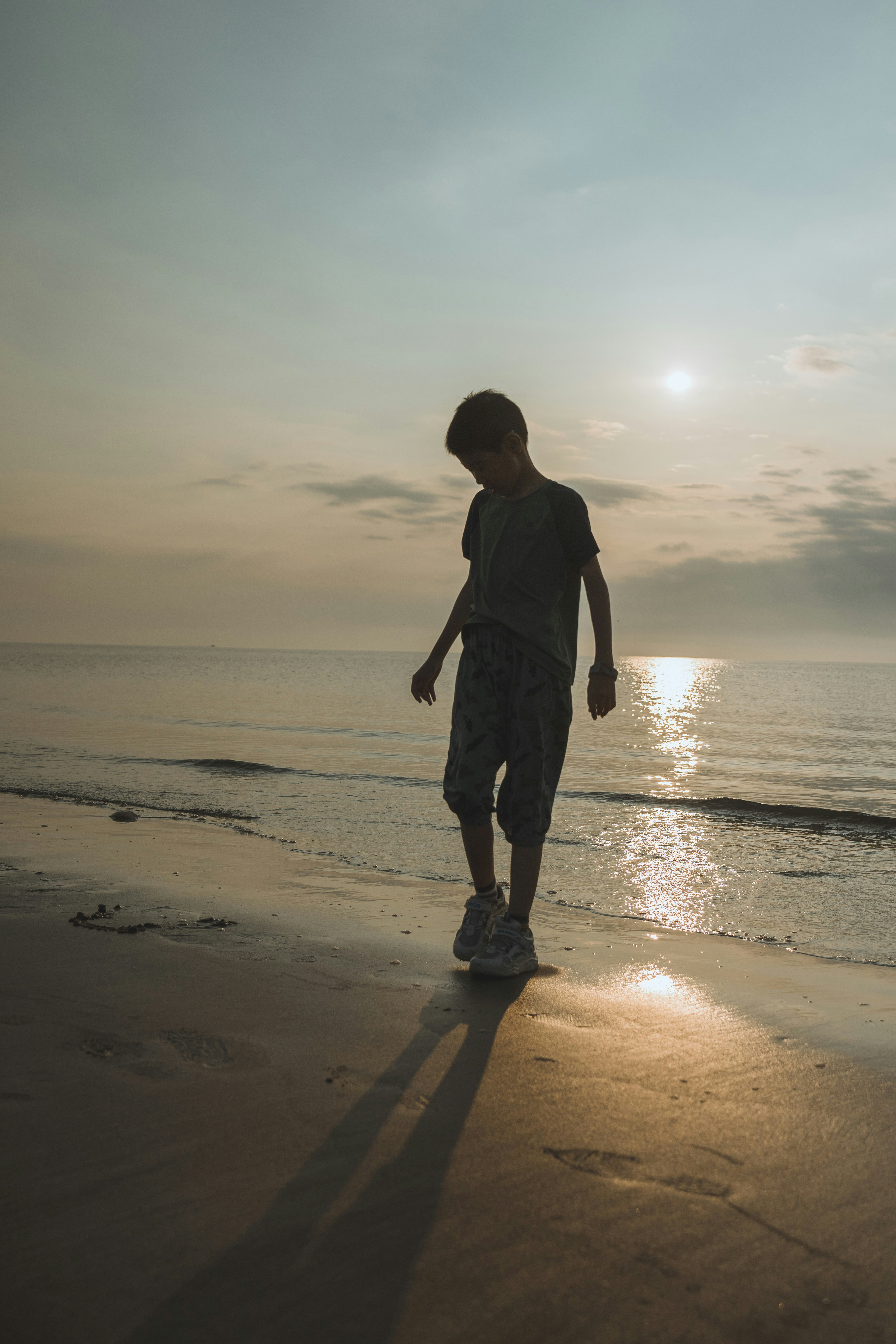 Sunlit Shorewalker: A Quiet Evening Balance by the Sea
