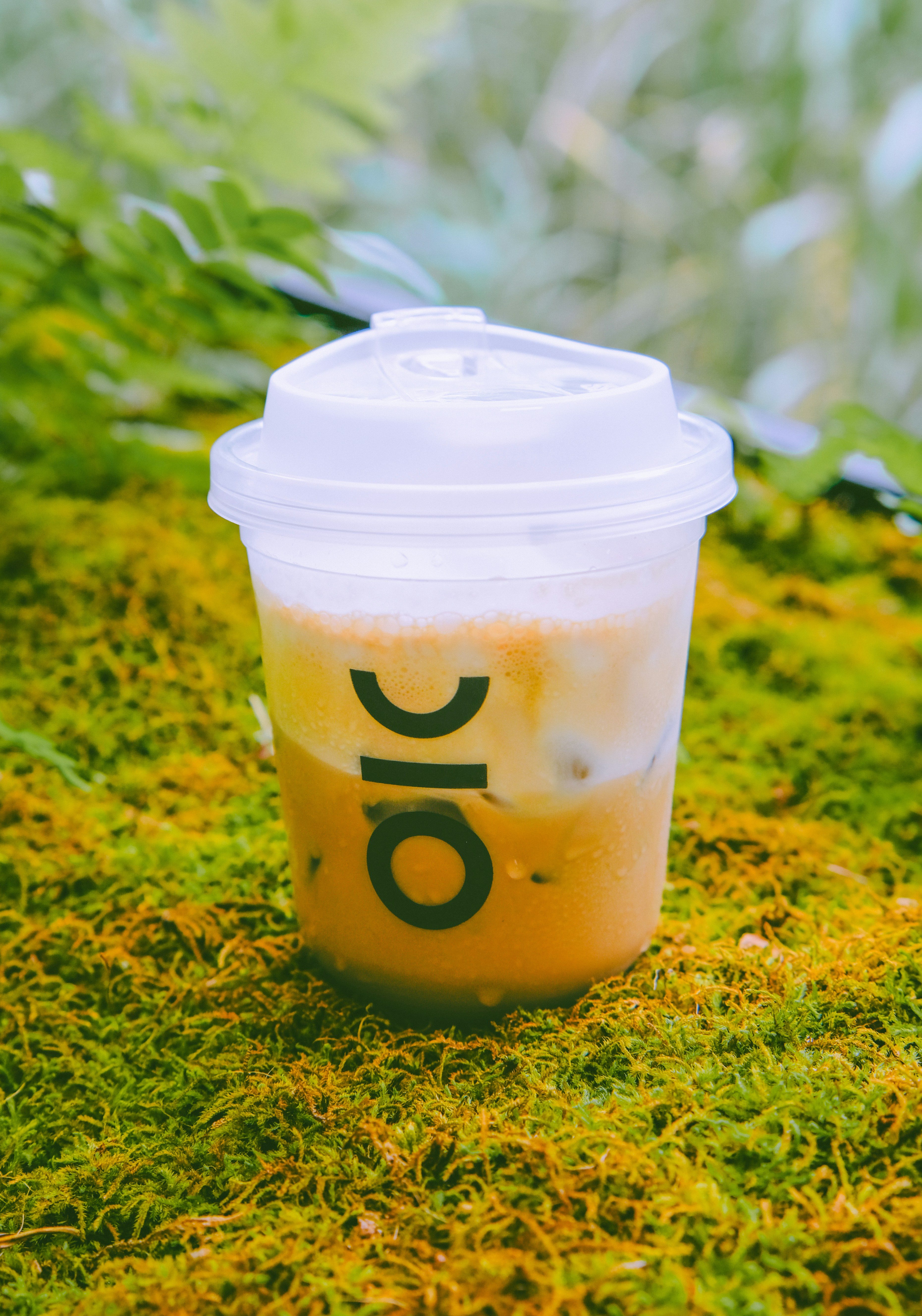 Clear Cup, Quiet Forest: A Coffee Moment on Mossy Ground