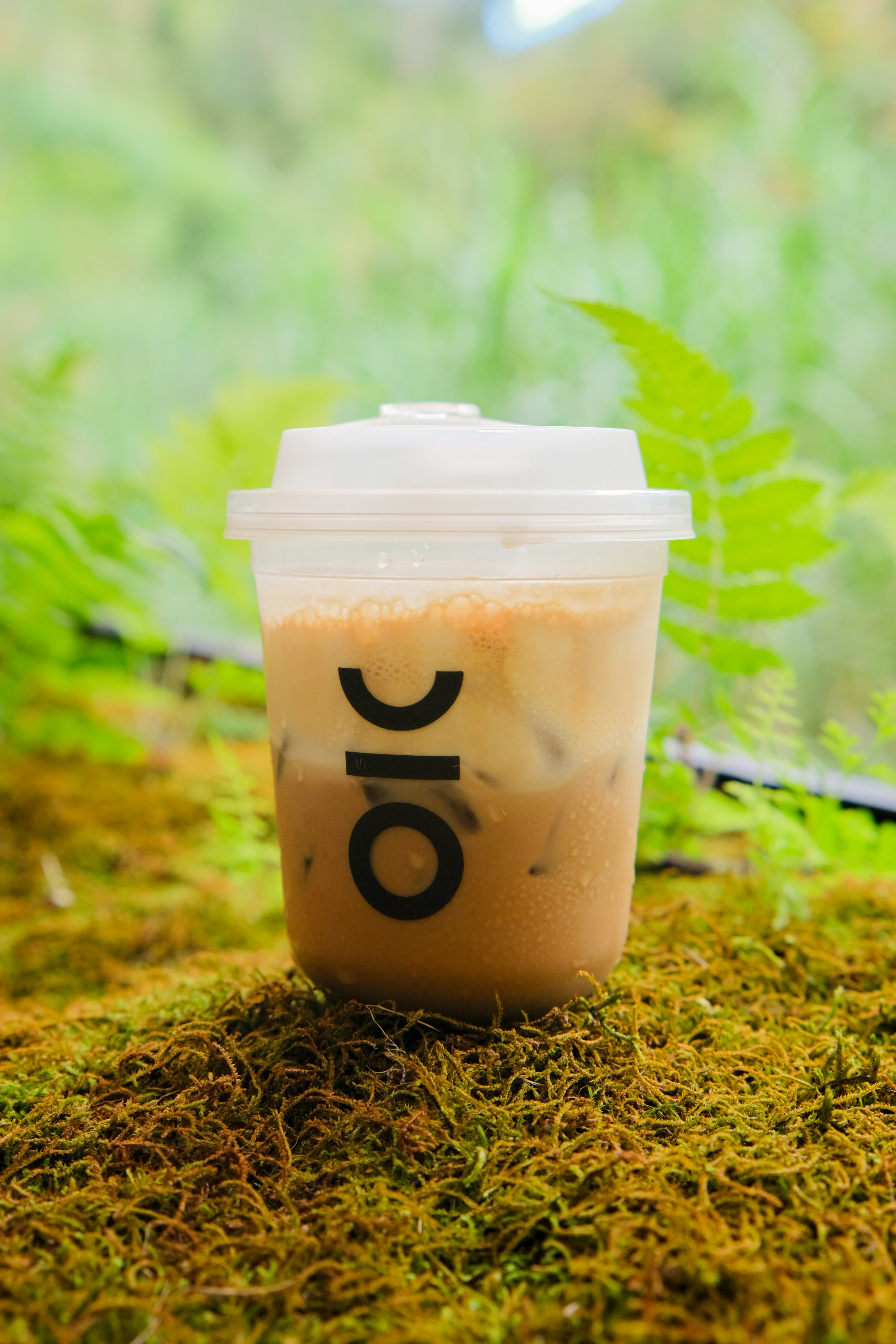 A iced coffee cup sits on mossy ground with a blurred green background, emphasizing the container as the focal subject.