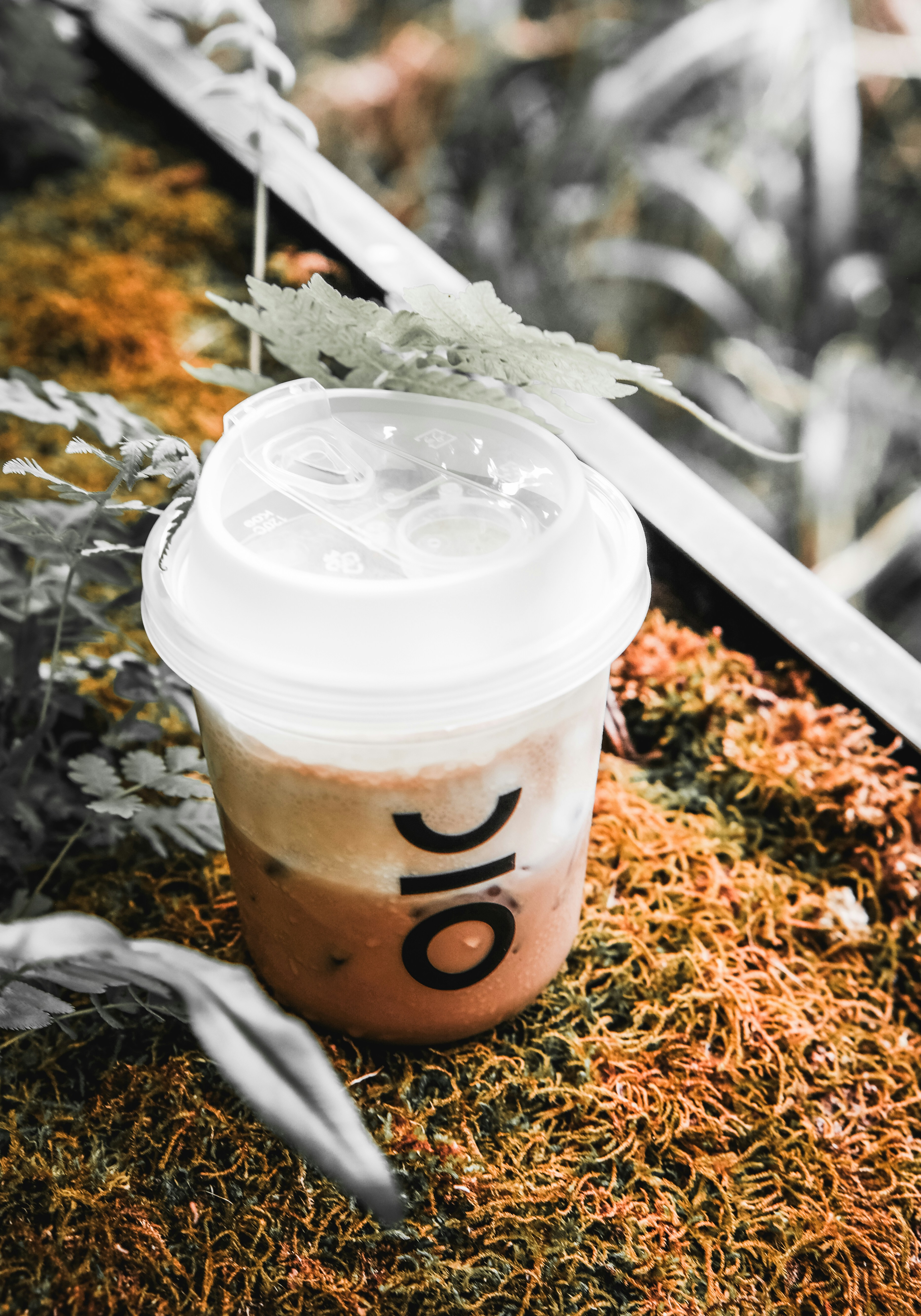 Autumn Coffee on Moss: A Quiet Macro Moment