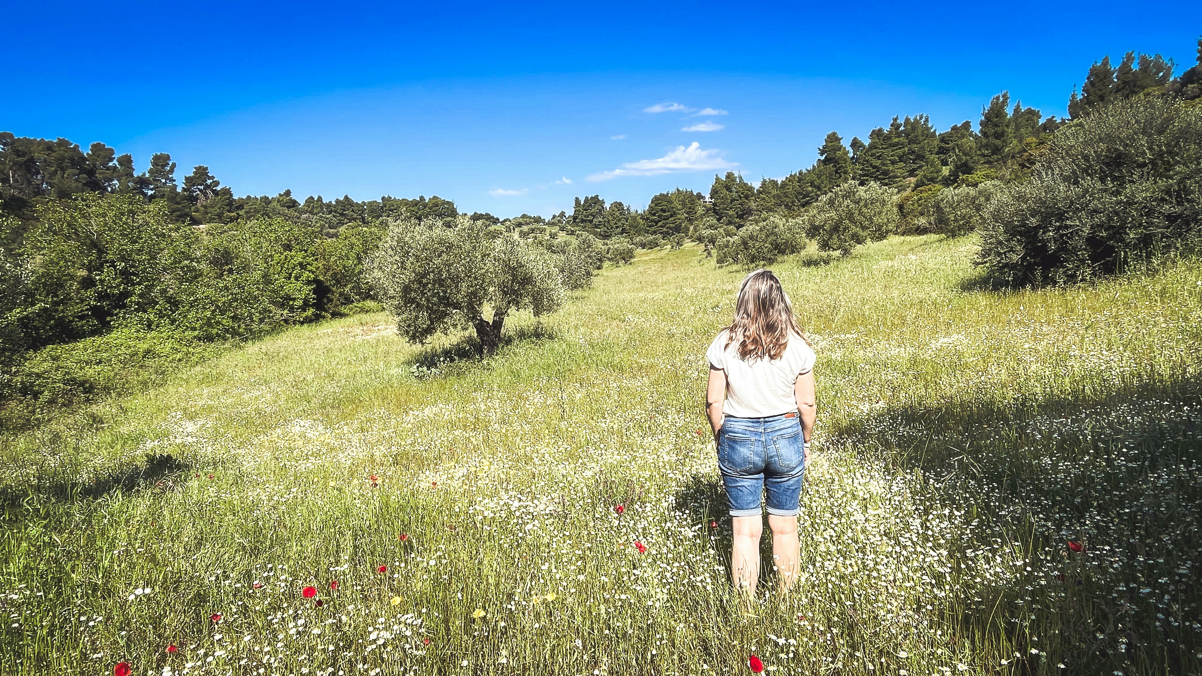 Solo Wanderer Amid Wildflowers on a Bright Hill