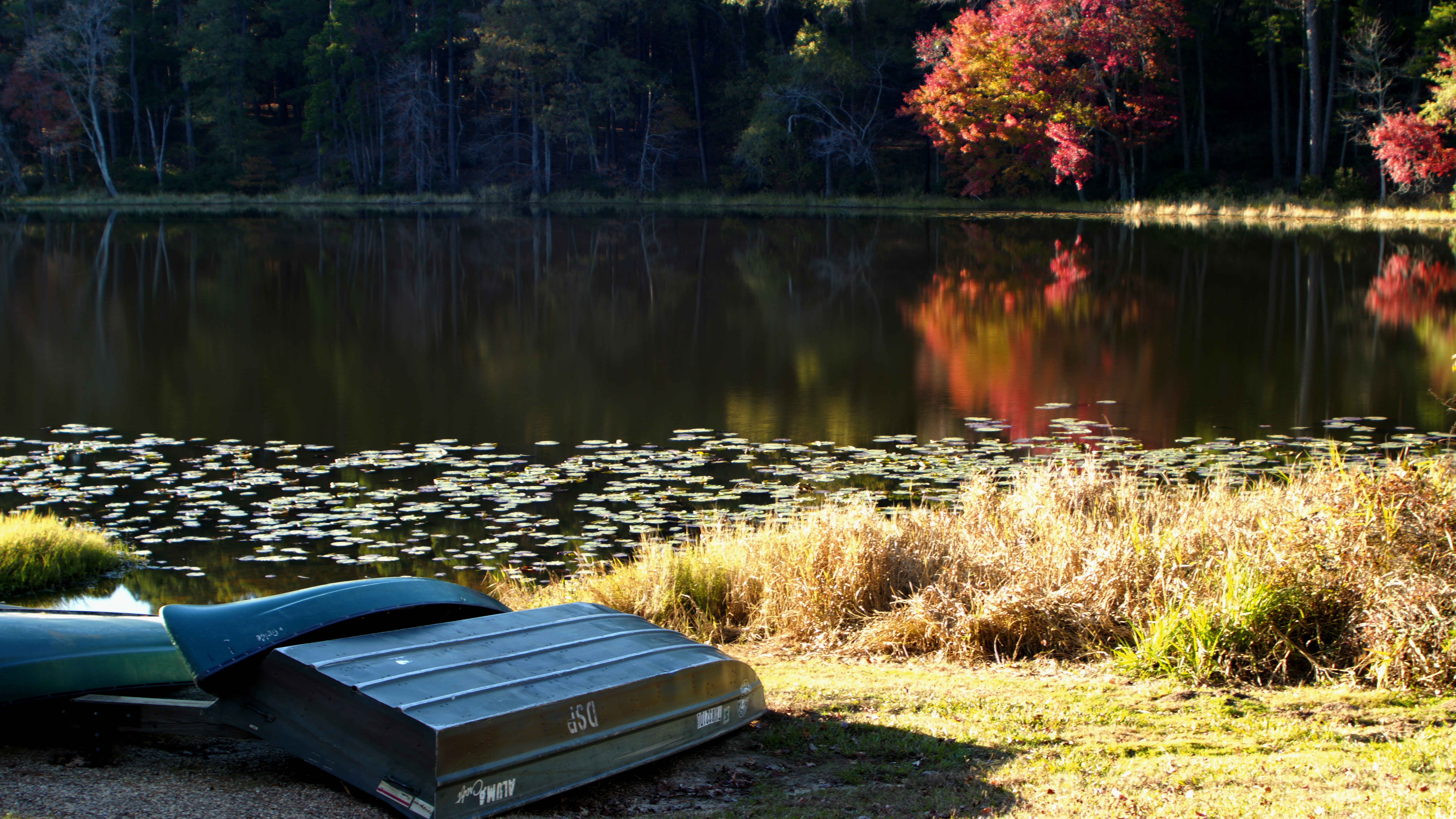 Reflection on a Quiet Lake: Autumn Colors and Rowboat at the Shore