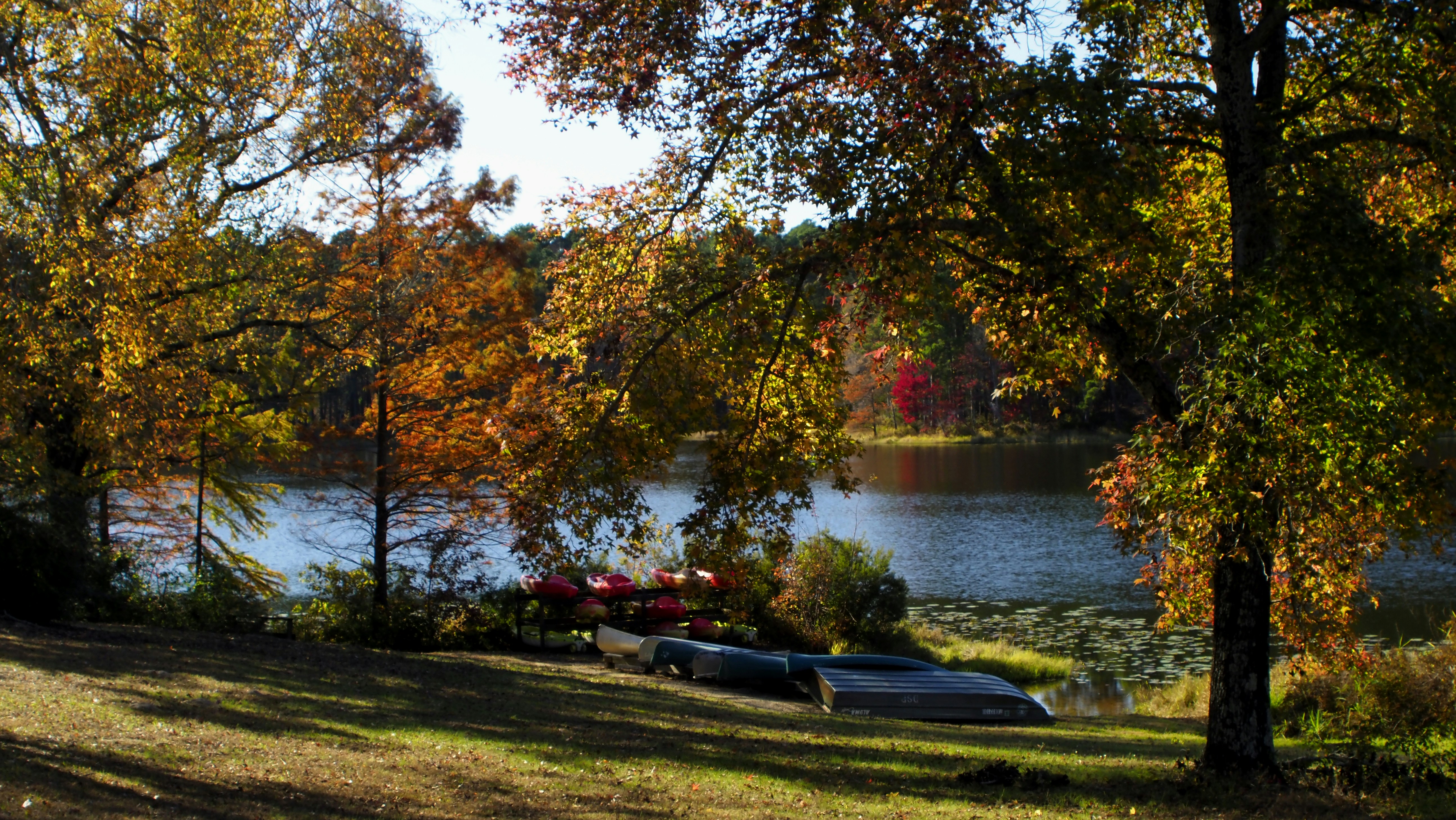 Autumn Quiet by the Shore: Boats Rest Along a Leaf-Covered Lake