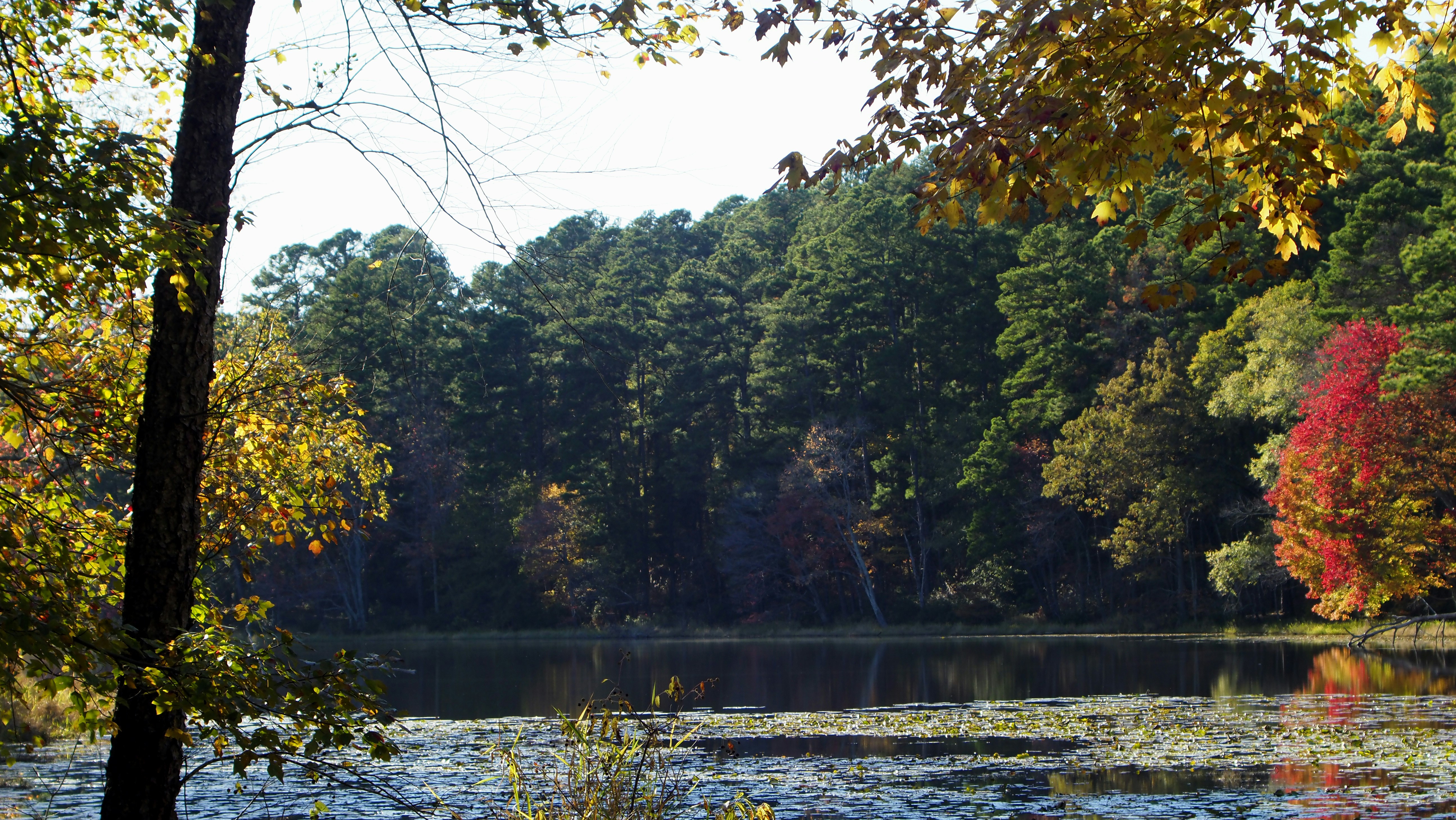 Autumn Canvas Over the Quiet Lake