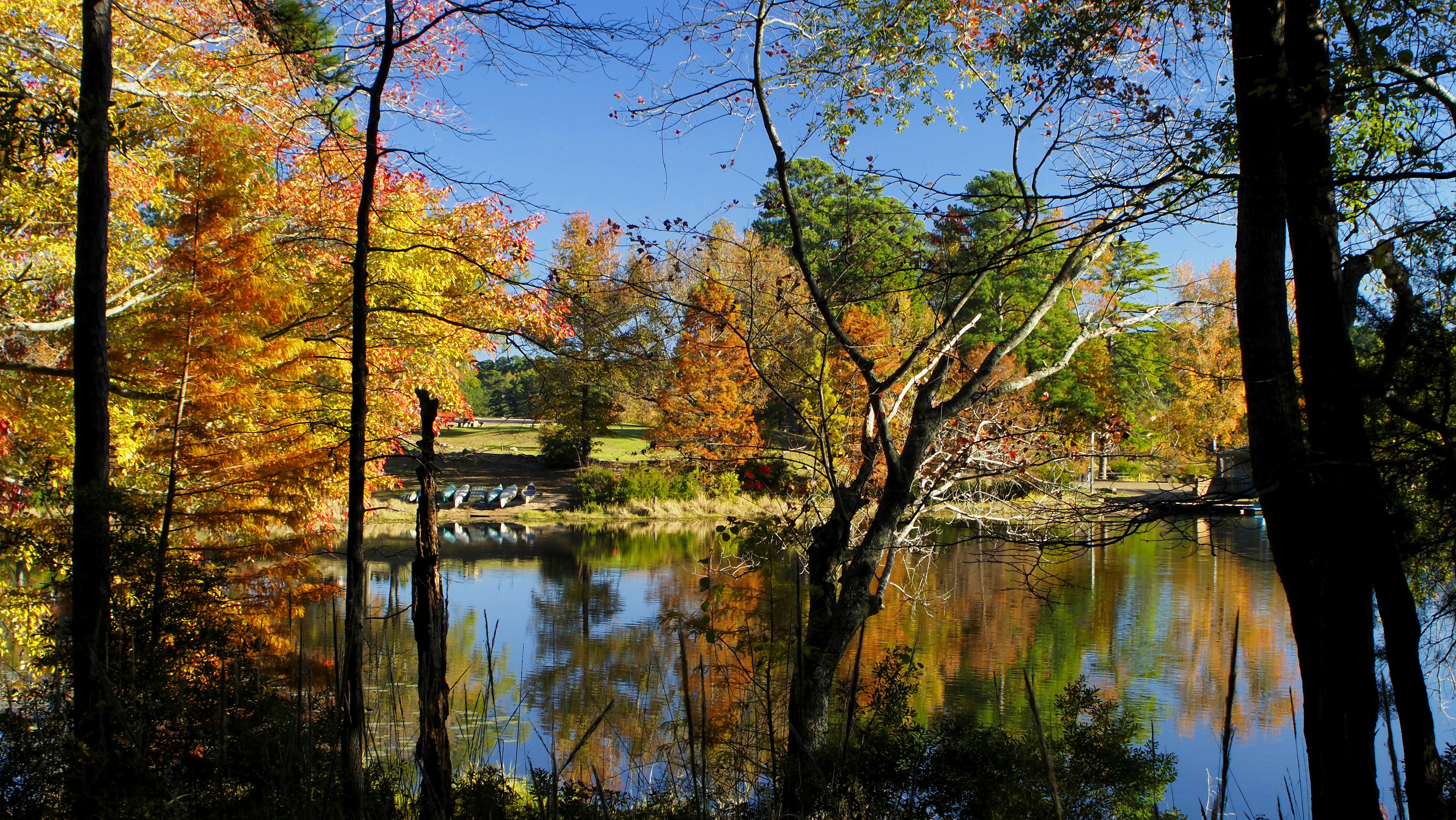 Vibrant autumn trees line a tranquil pond, their colors mirrored on the still water beneath a clear blue sky.