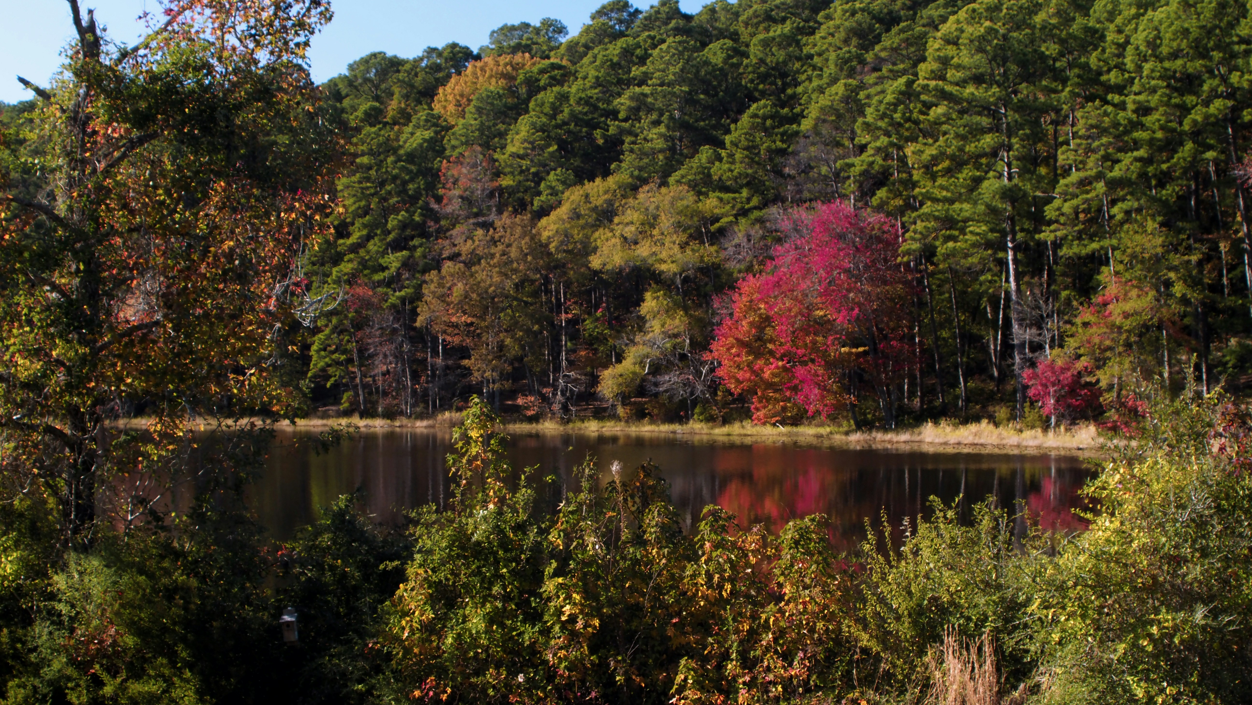 Autumn Reflections: a tranquil lakeside mosaic of color