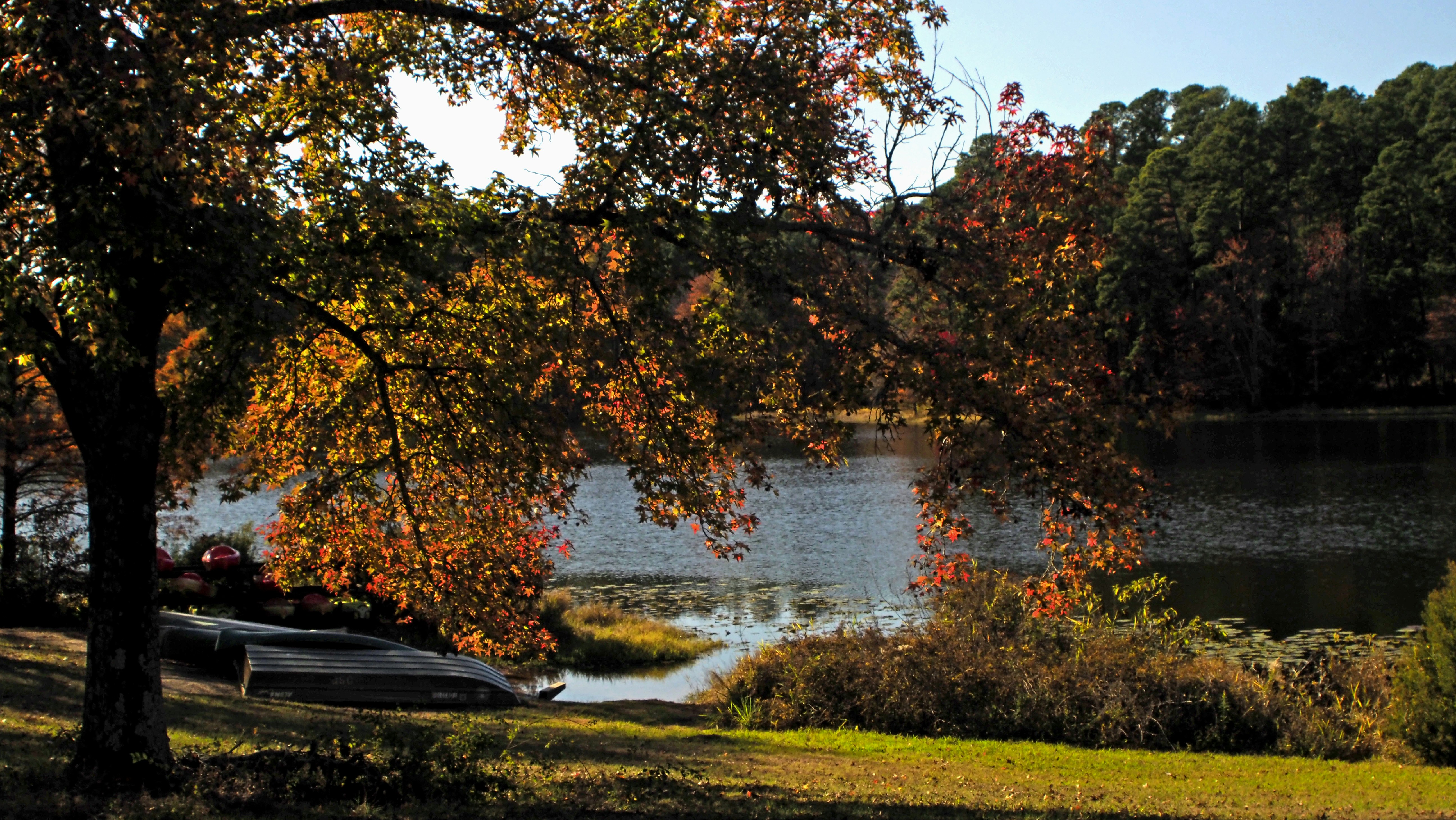 Autumn Riverside: Sunlit Leaves Framing a Tranquil Lake