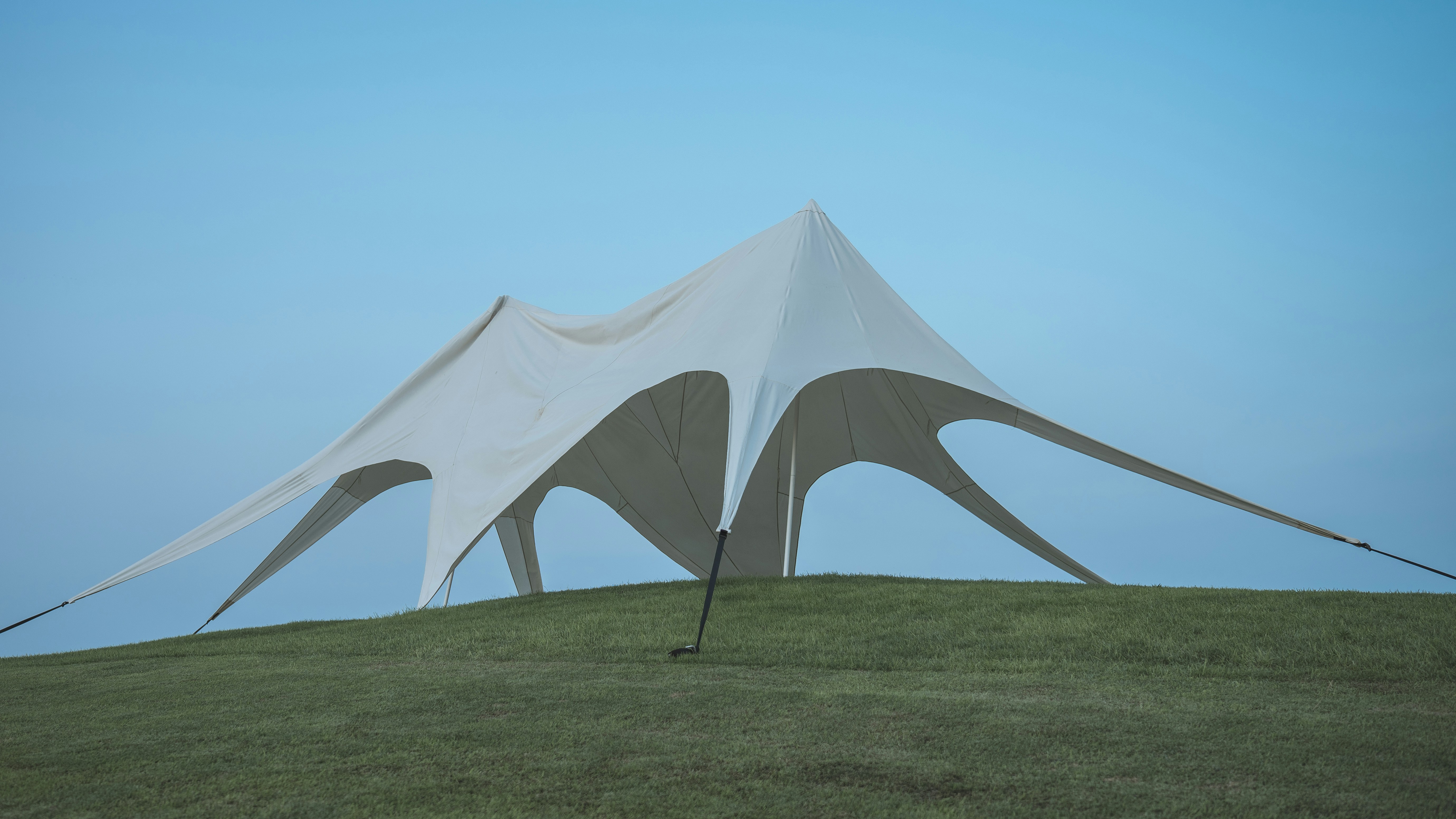 Tension on the Hill: A White Canopy Graces the Crest