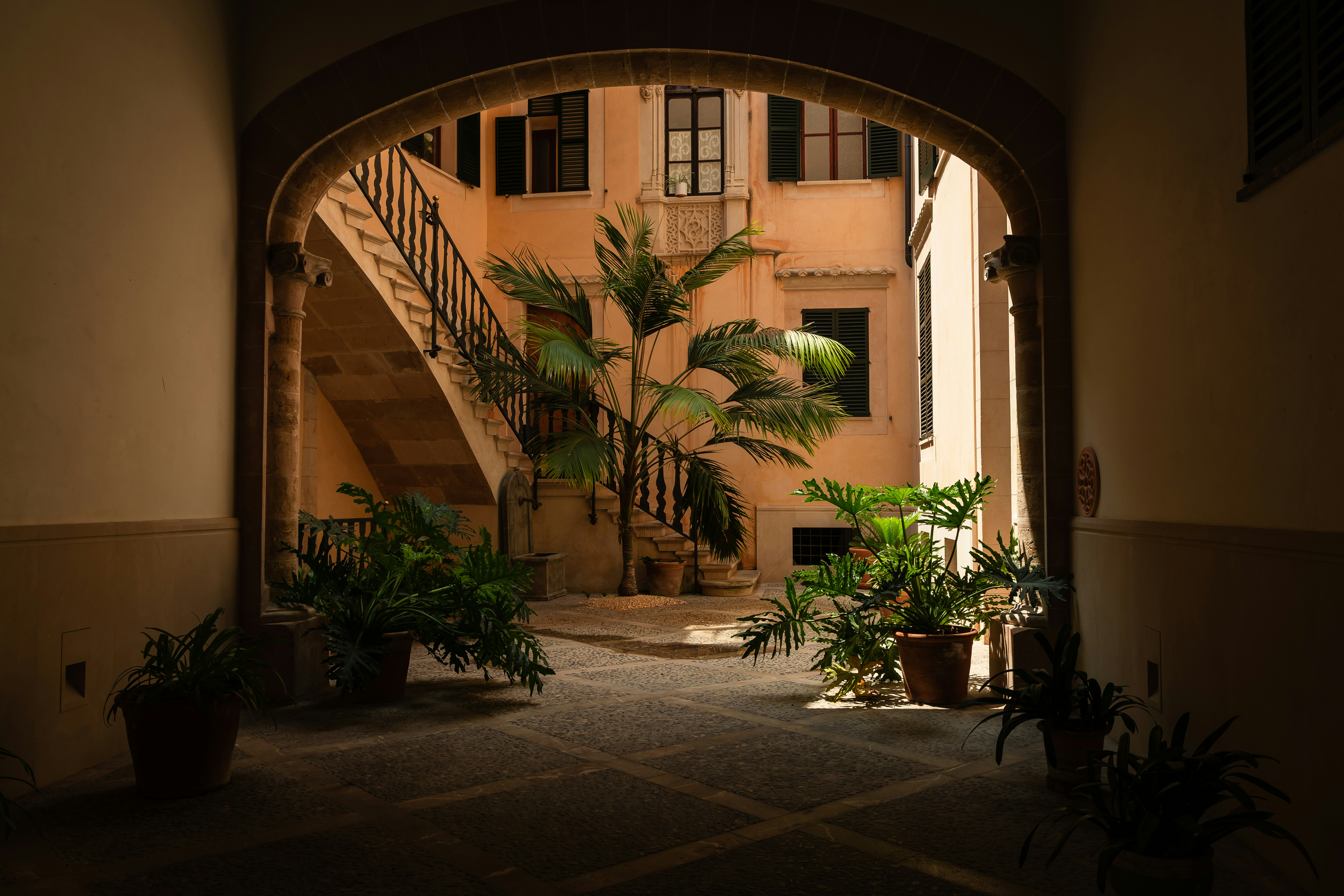 Courtyard Archway: Quiet Light Through Plant Dwell