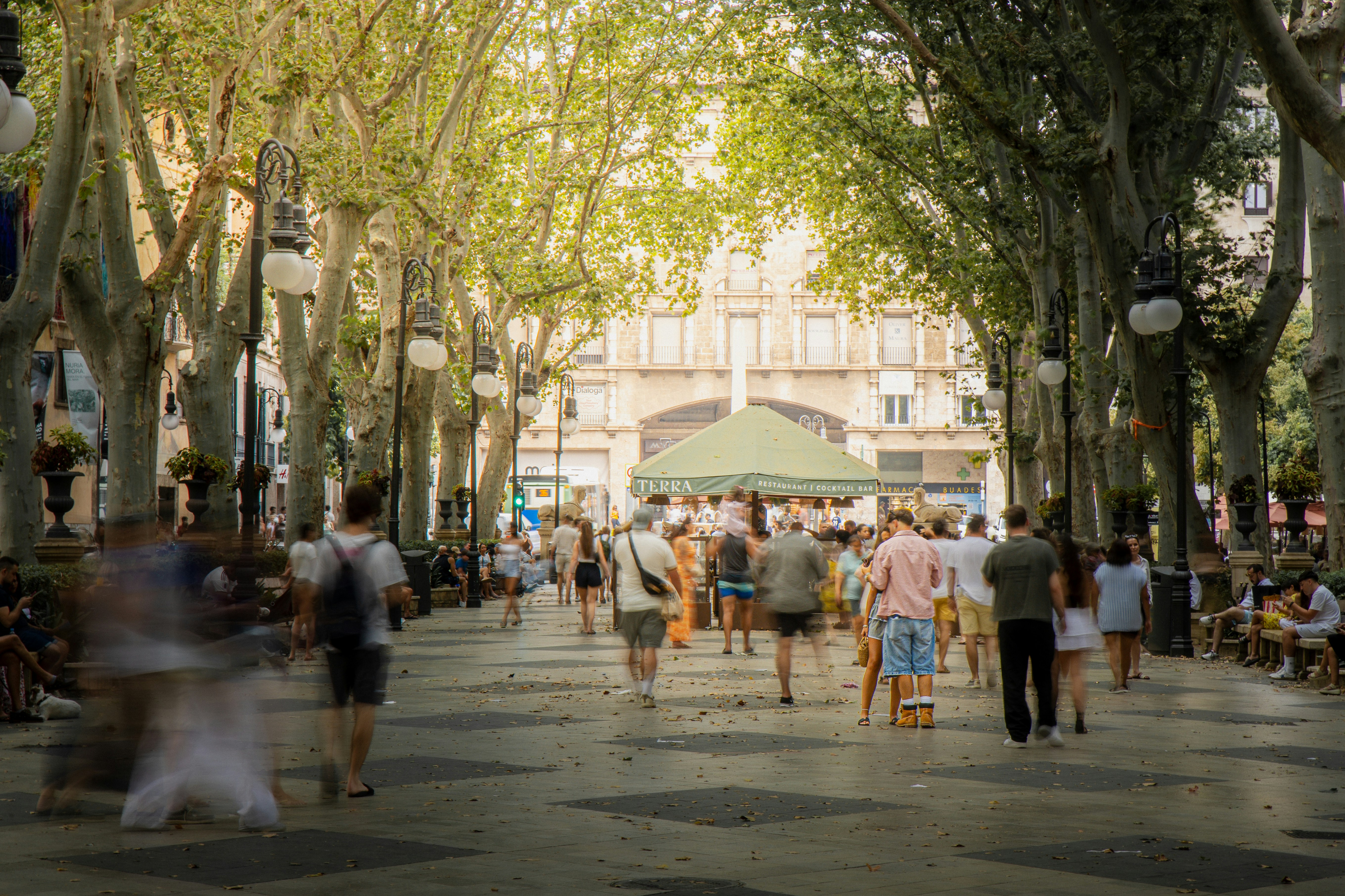 Tree-Canopied Plaza: People Beneath a Green Canopy