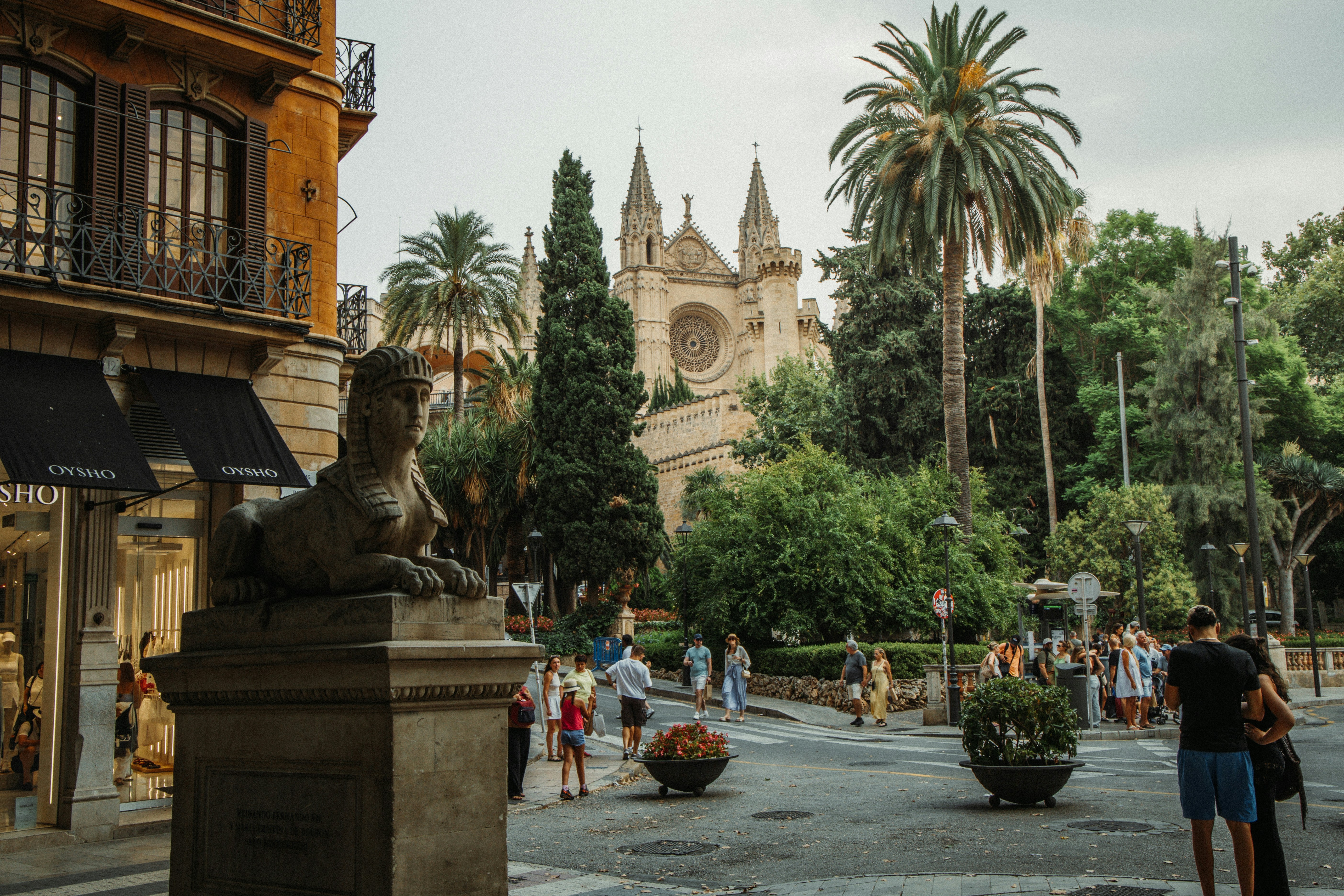 Sunlit Plaza: Lions, Cathedrals, and Palm Shadows