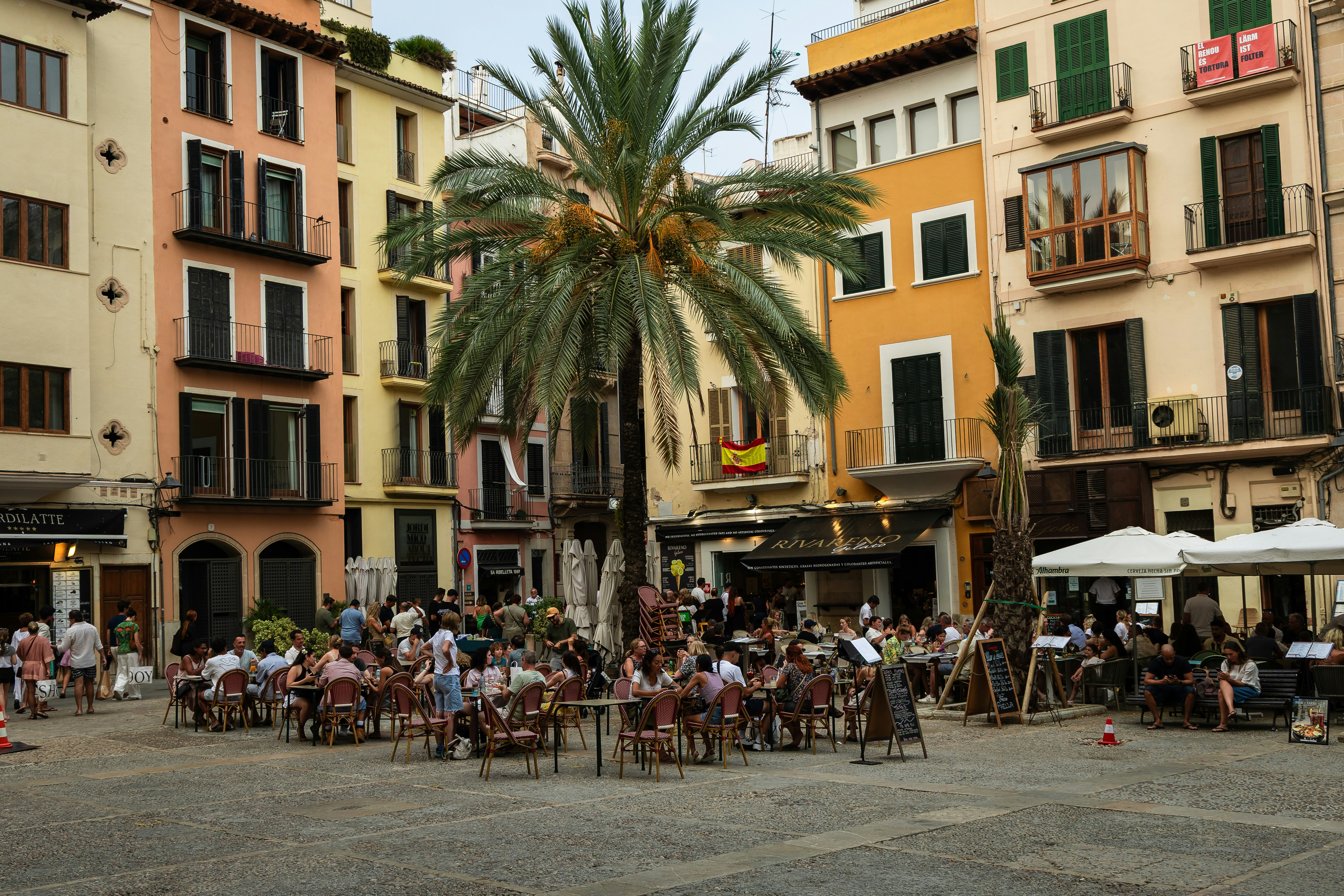 Cobbled Piazza Café: A Palm-Shaded Terrace in a Sunlit Corsican Square