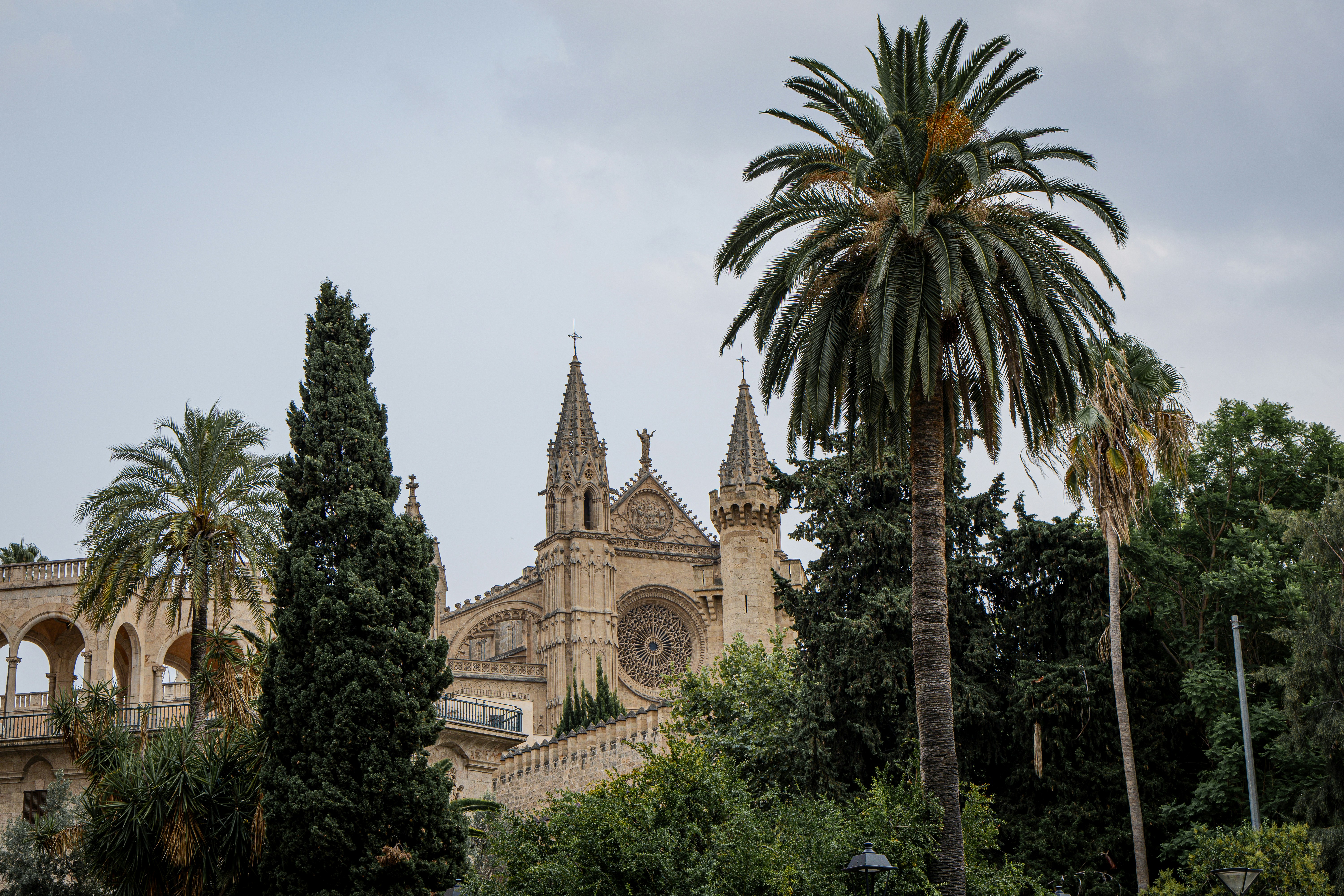 Cathedral Veil: City Landmark Emerging Through Palms