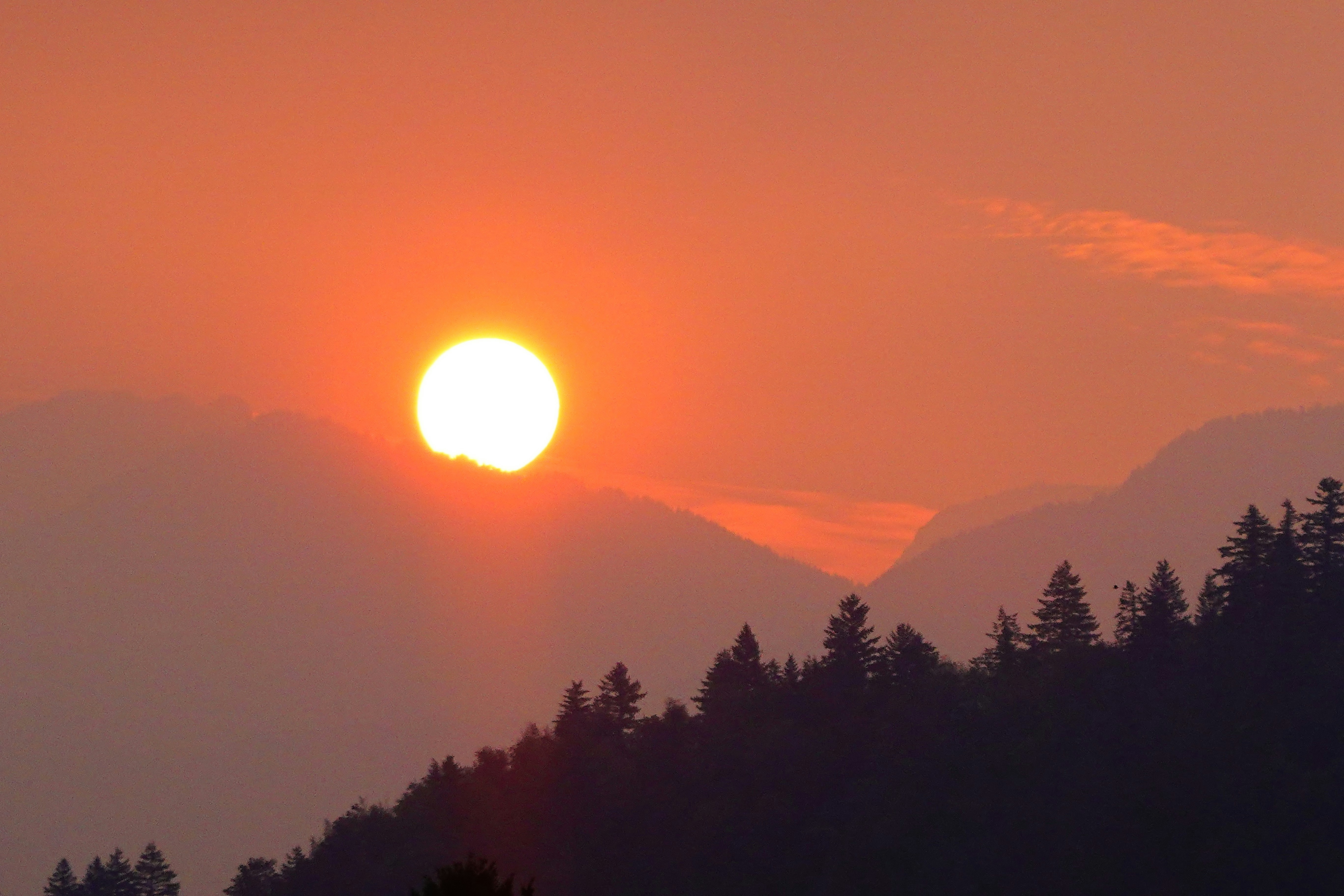 Sunlit Ridge: A Quiet Sunset Over the Forest