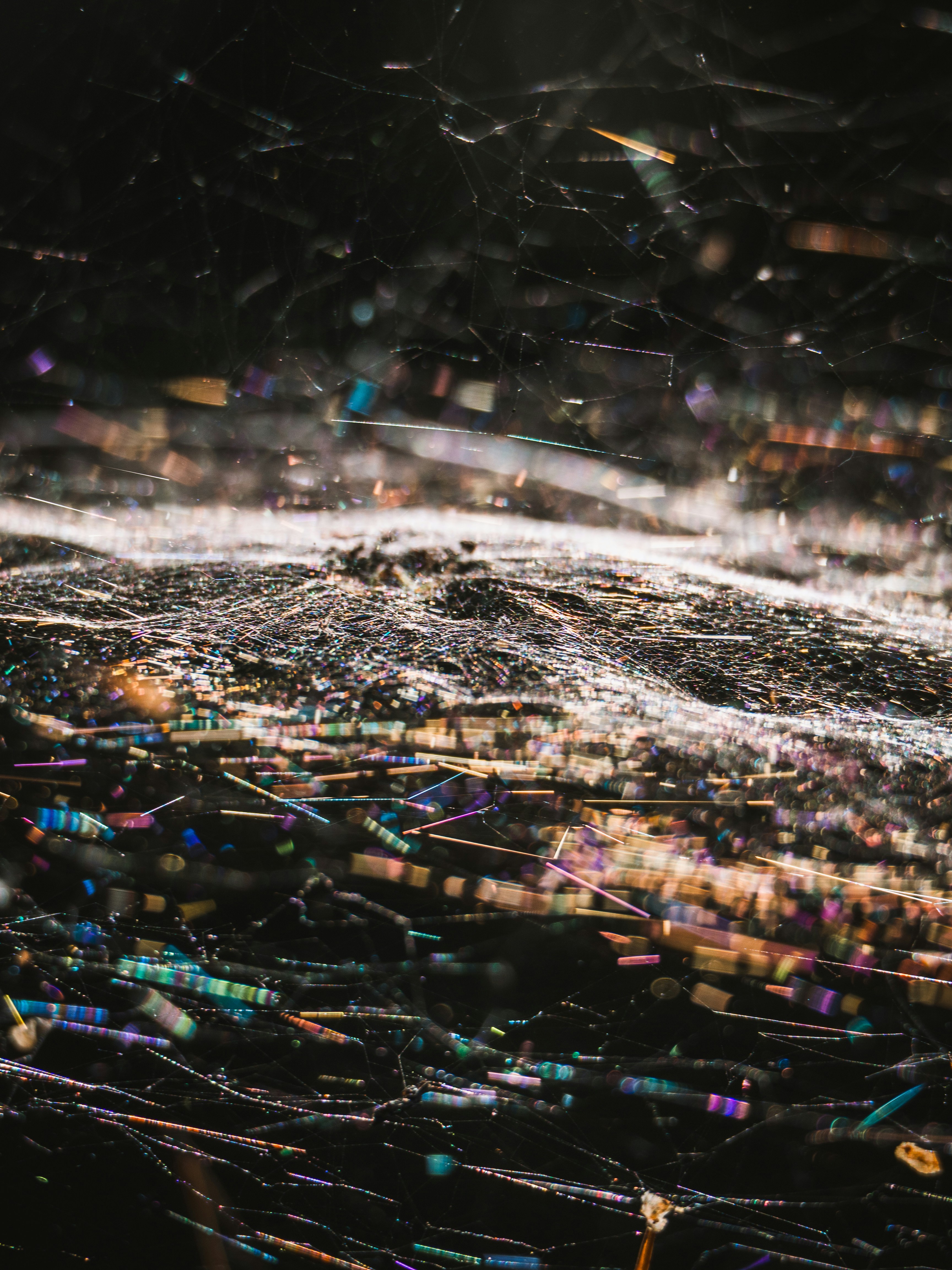 Prismatic Threads: a close-up of a dew-dusted web caught in ambient light