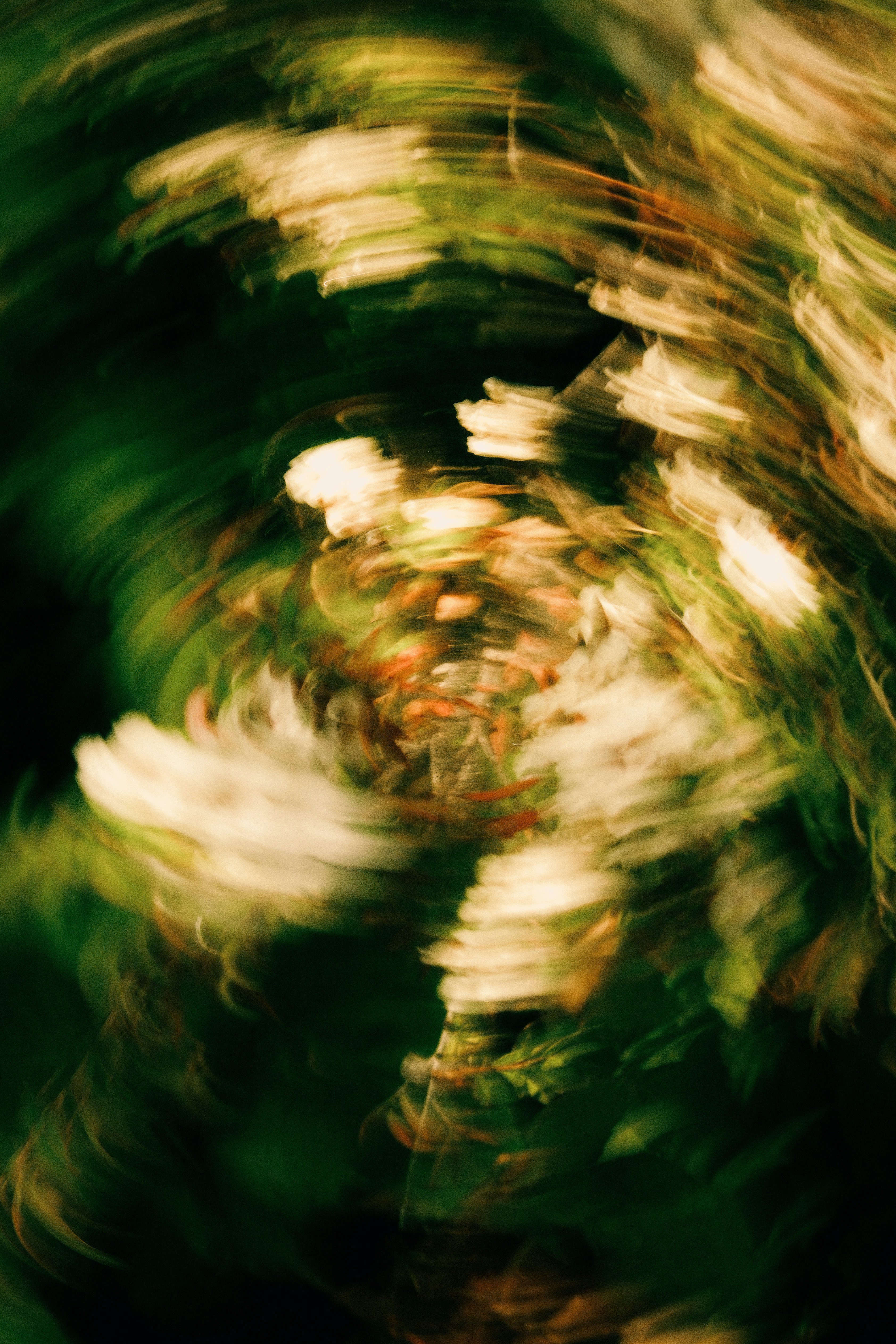 Swirl of Leaves: A Blur of Autumn Echoes
