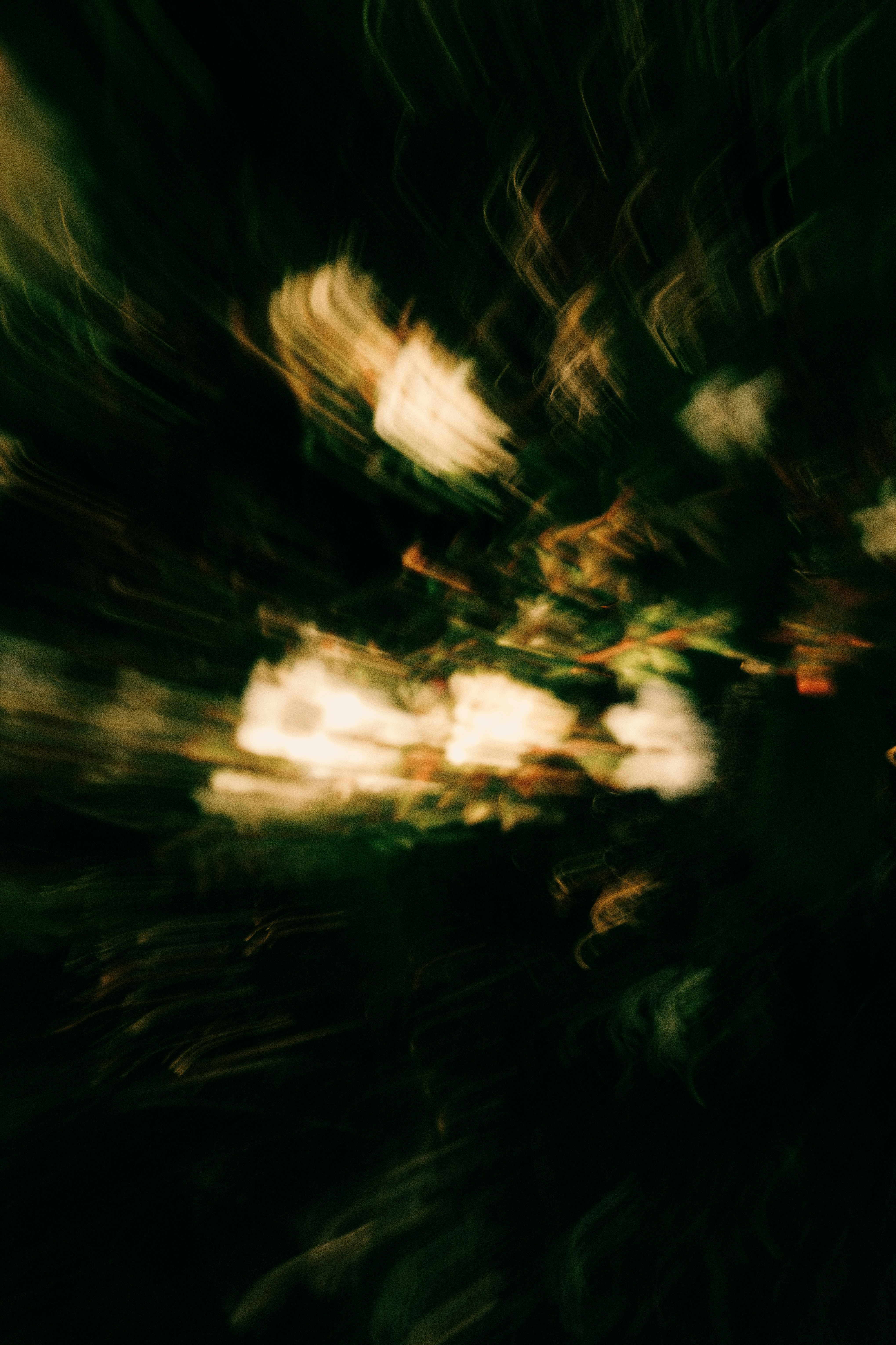 Swirl of Nightlight: Abstract Motion Across a Dim Garden