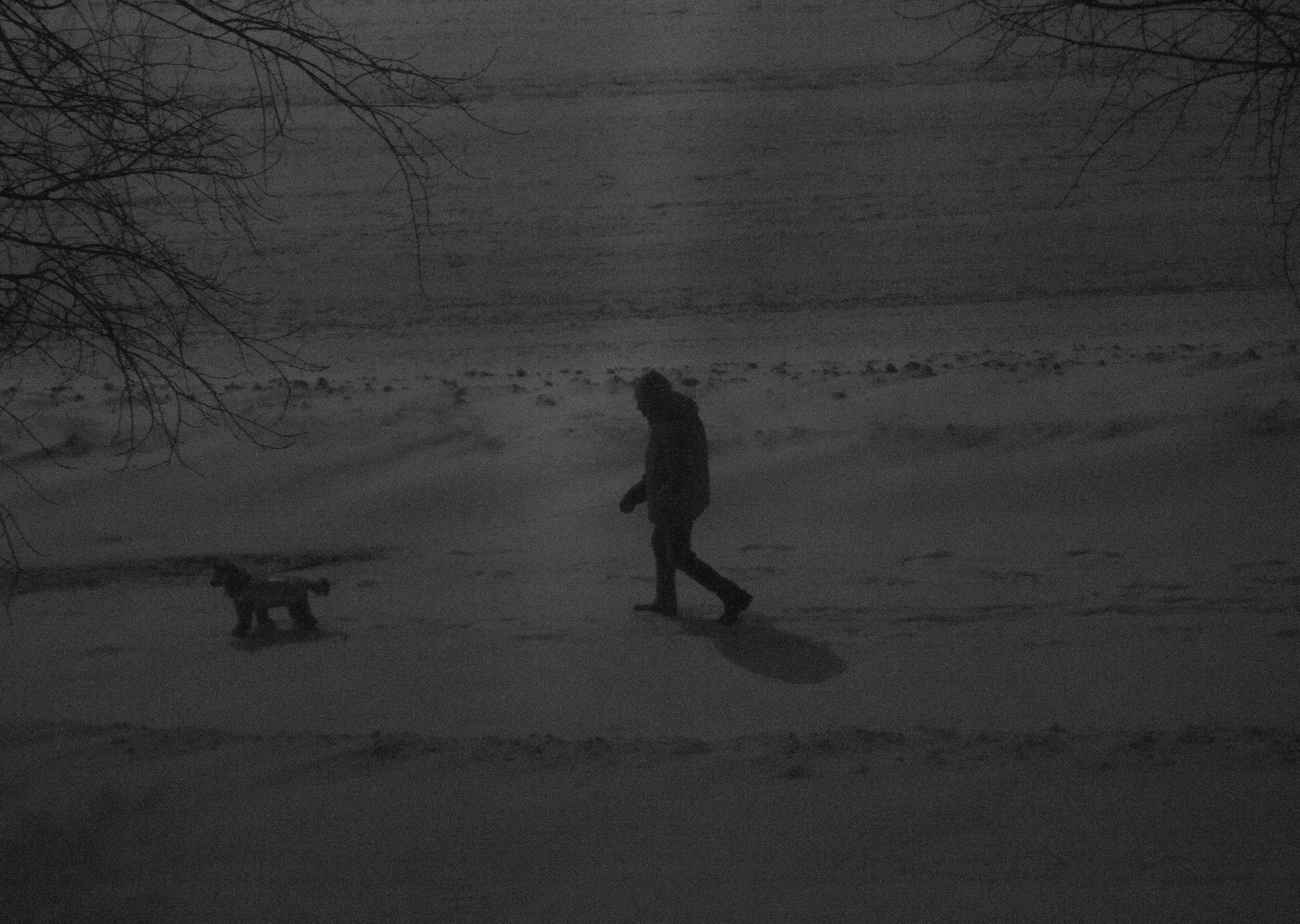 Low-Contrast Winter Stroll: Shadowed Figure and Dog Across a Snow Field