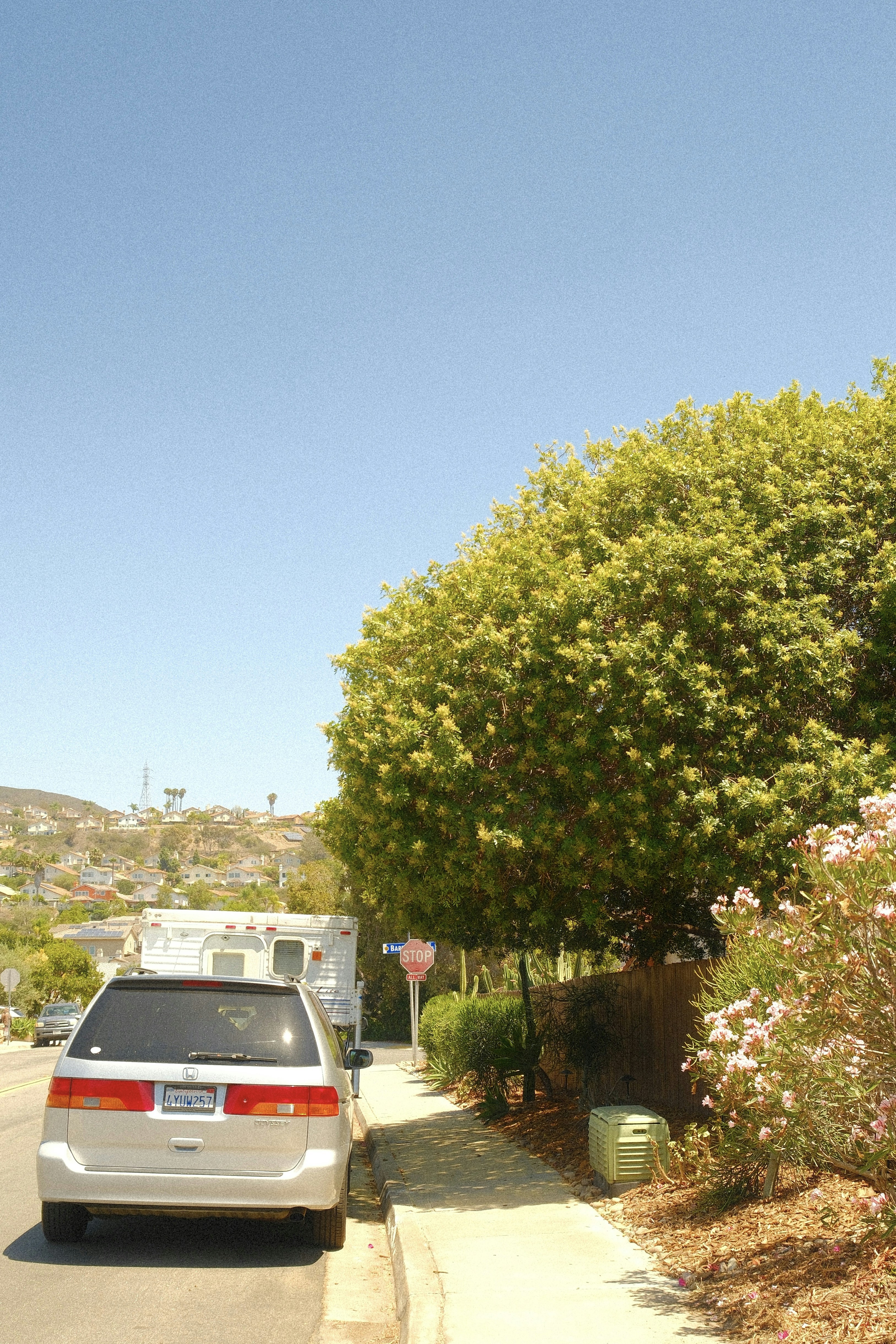 Sunlit suburban street with a waiting minivan and lush greenery