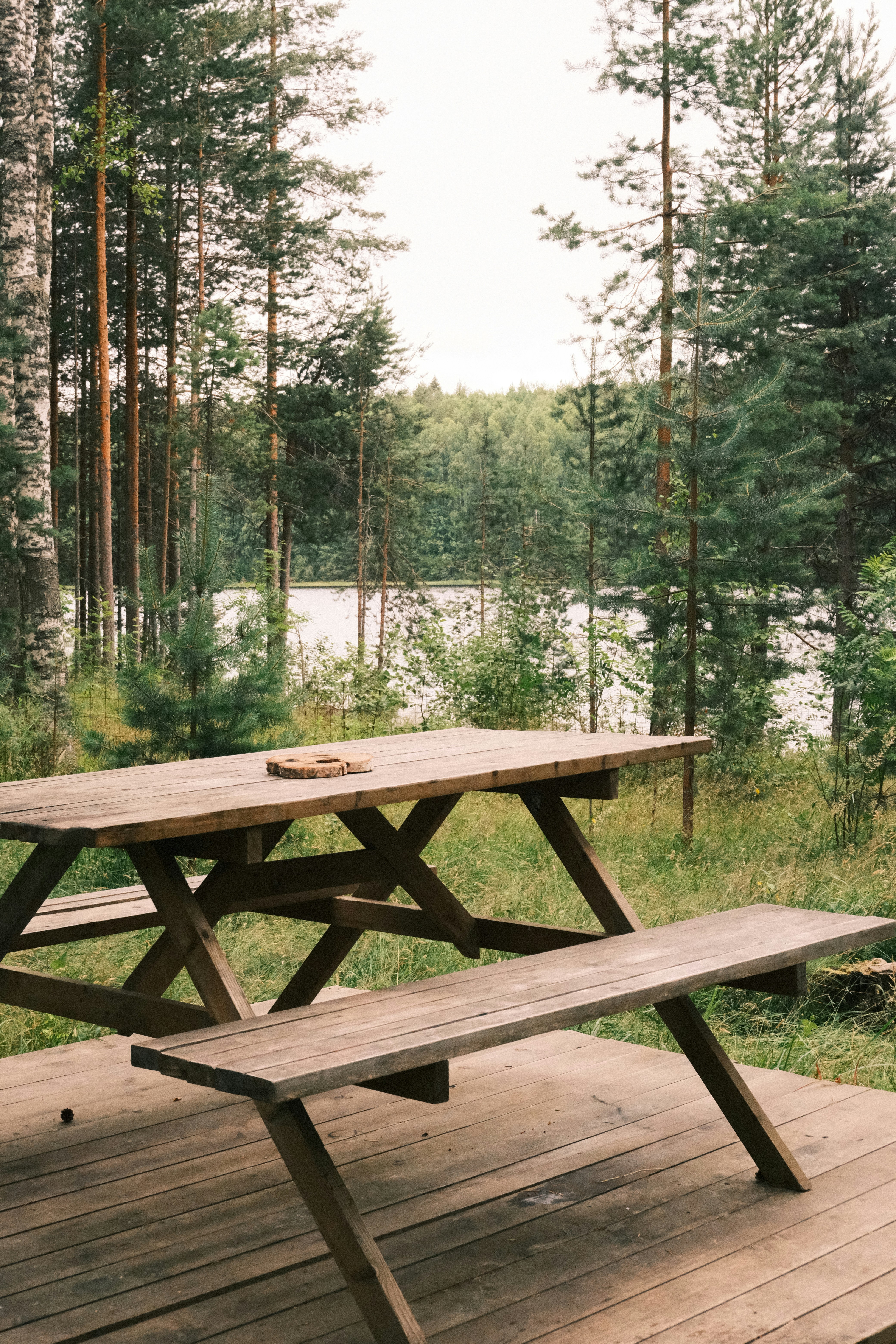 Empty Picnic Table Overlooking a Pine Forest at Lake Edge