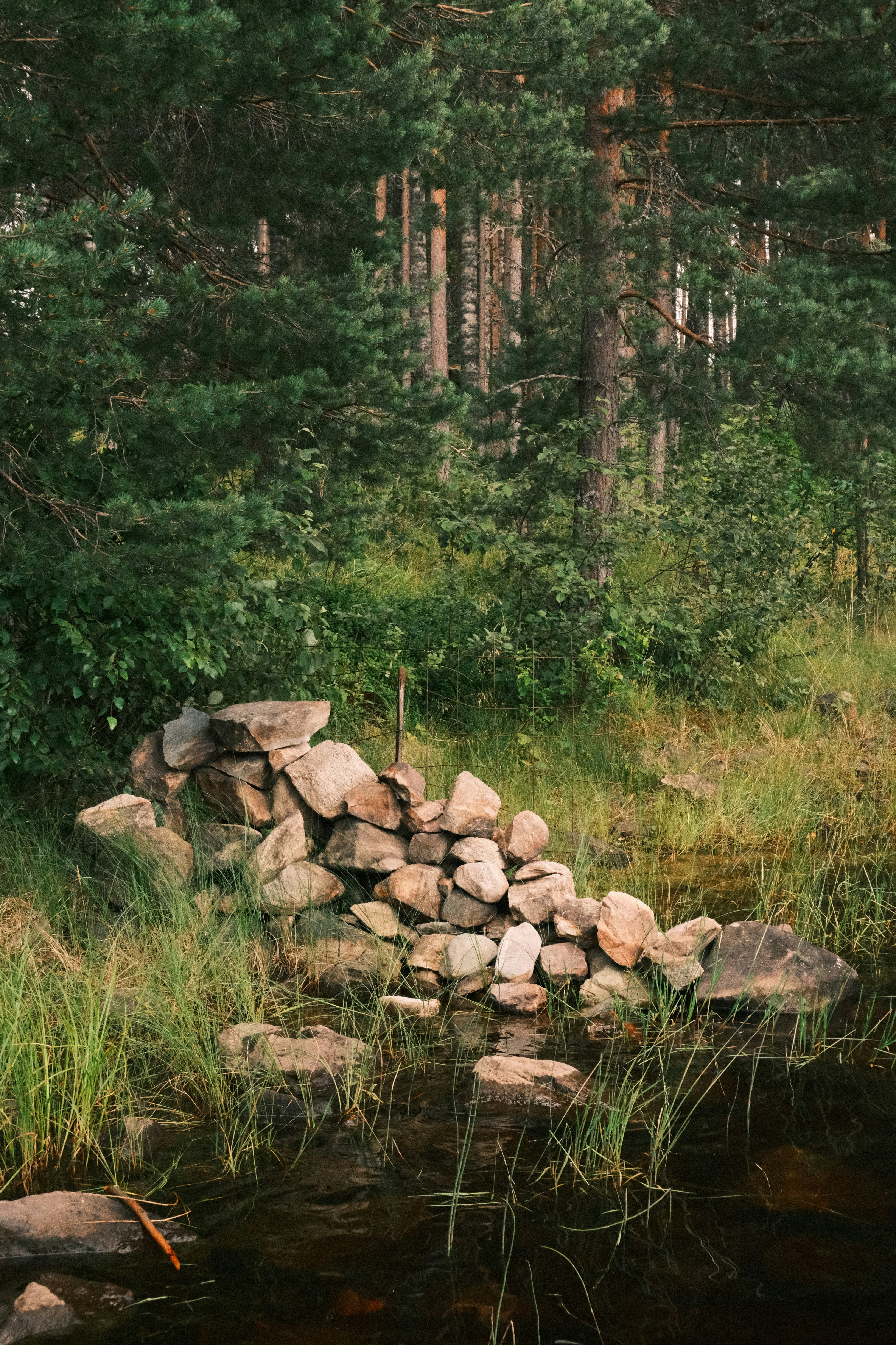 Stone Stairway to the Quiet Edge of the Pines