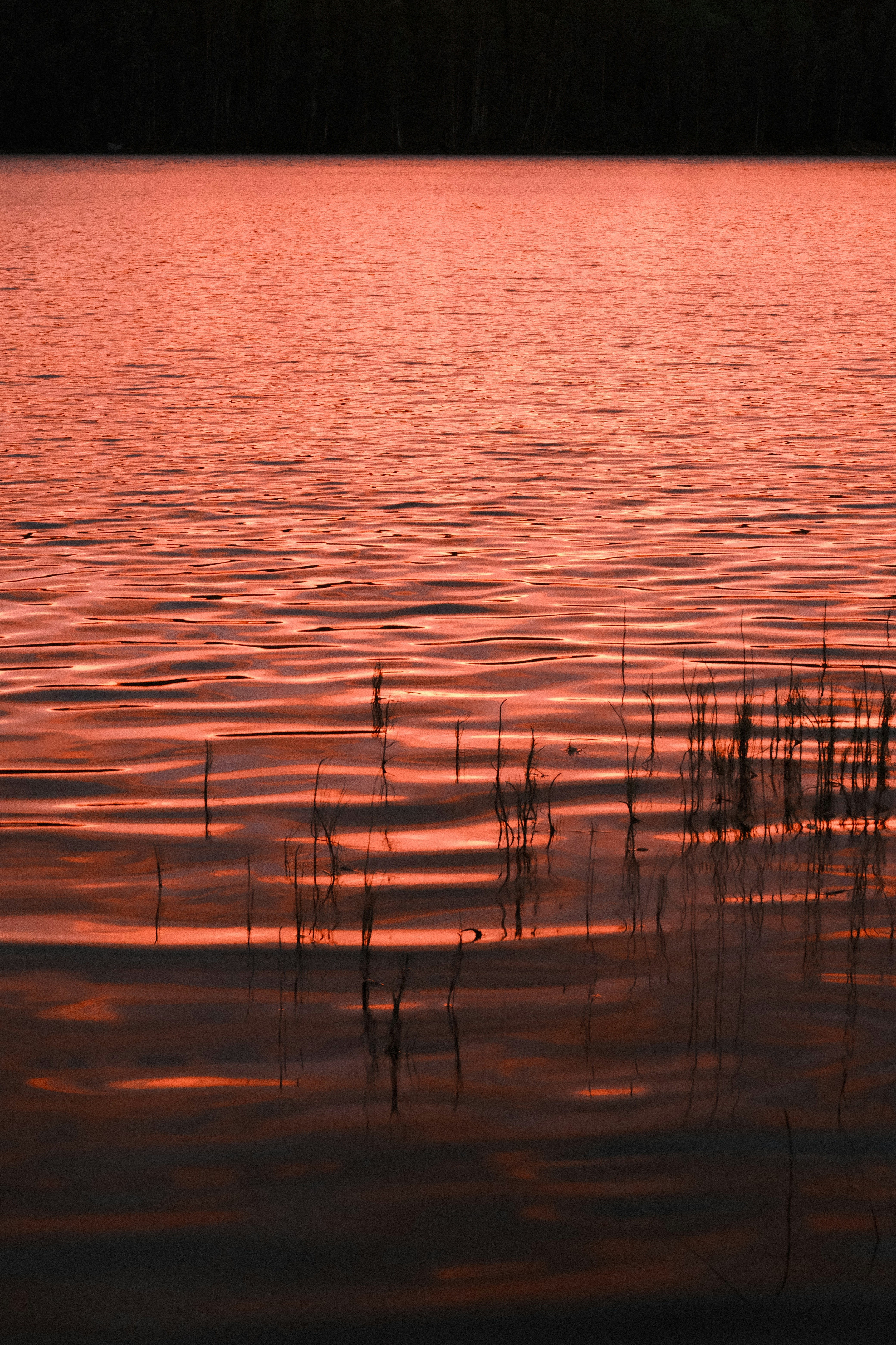 Crimson Dusk on Quiet Waters