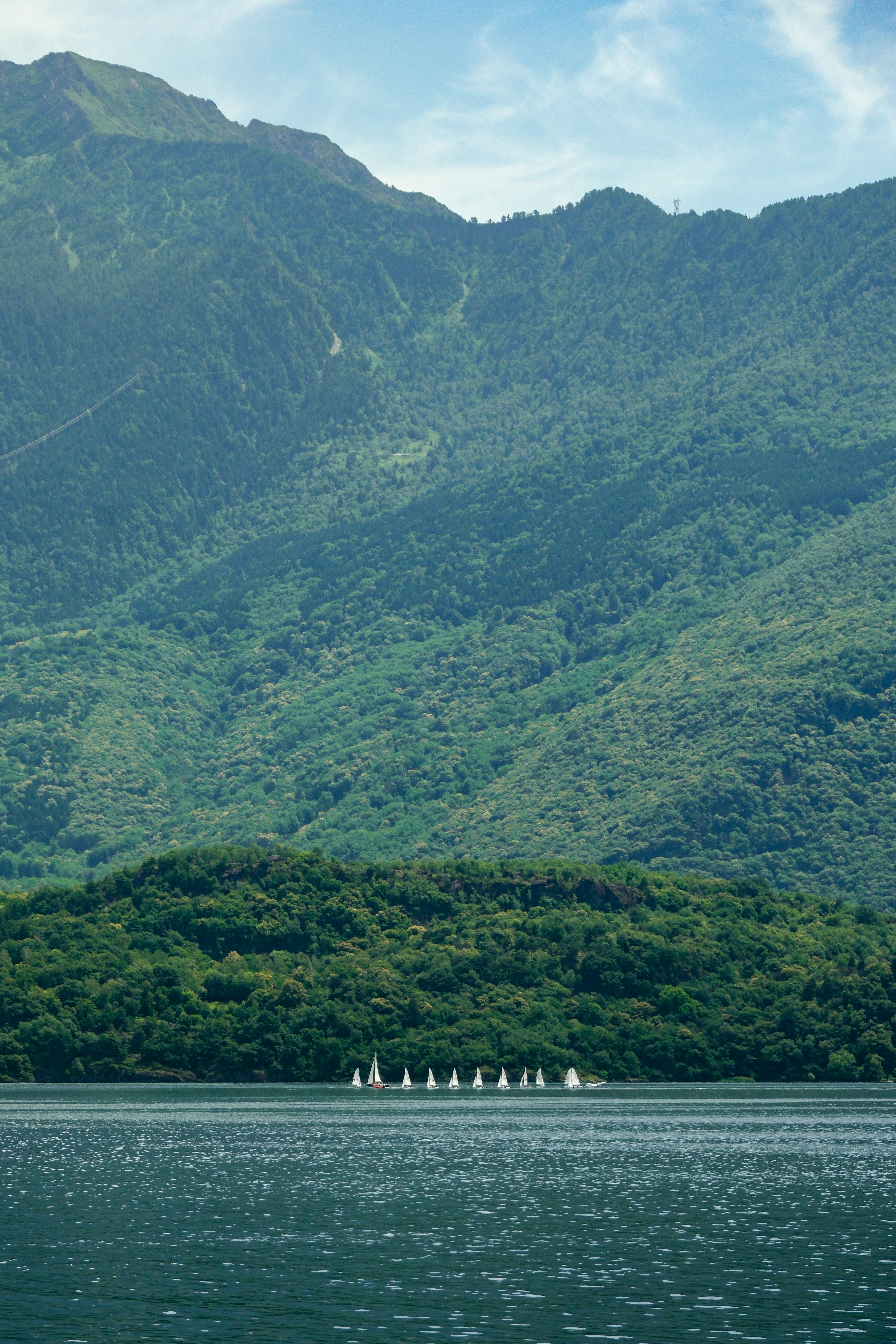 Misty Lake Bands: Sailboats at the Forested Foothills