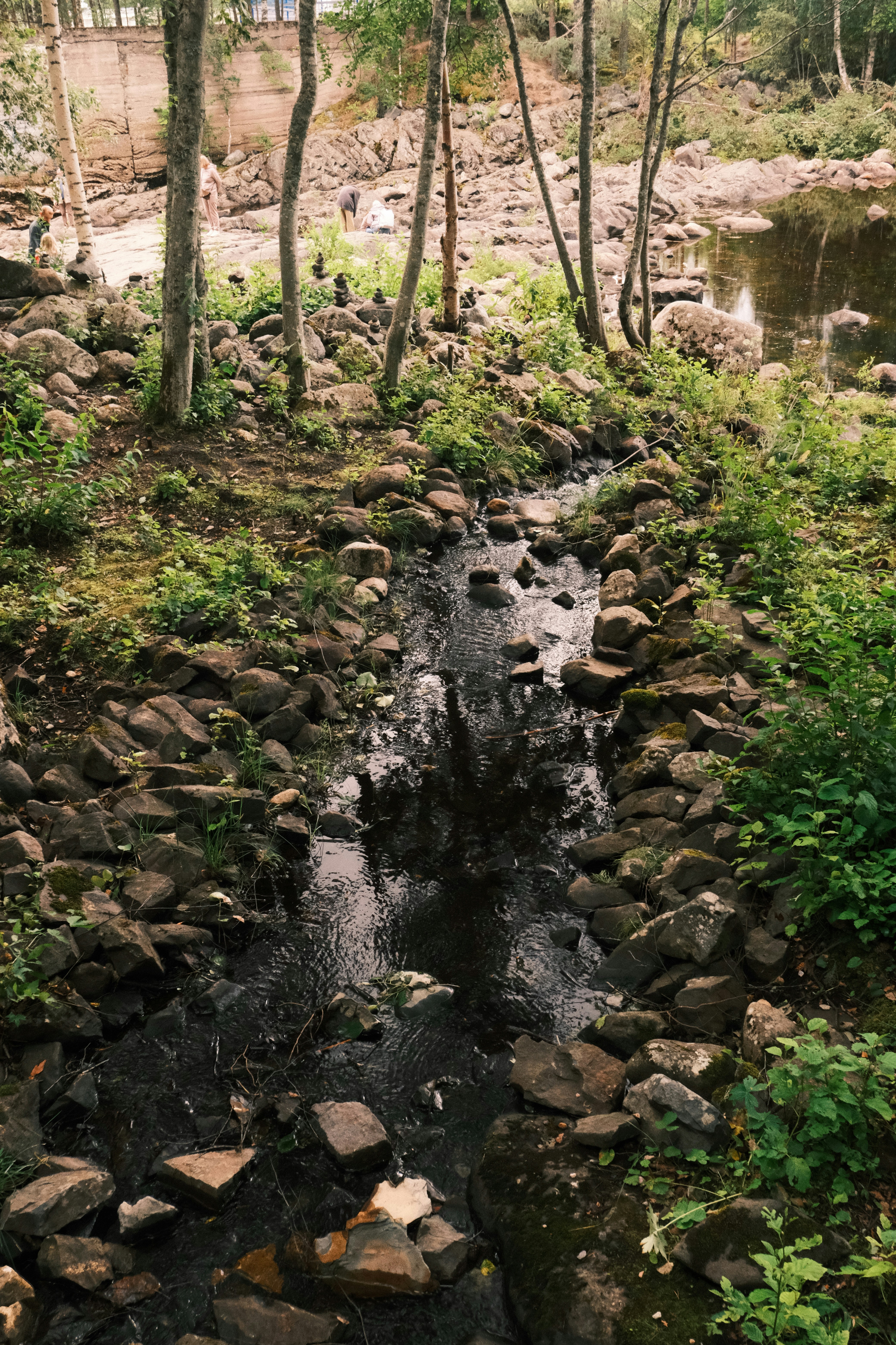 Rugged Stream Valley: Stones, Water, and Greenery