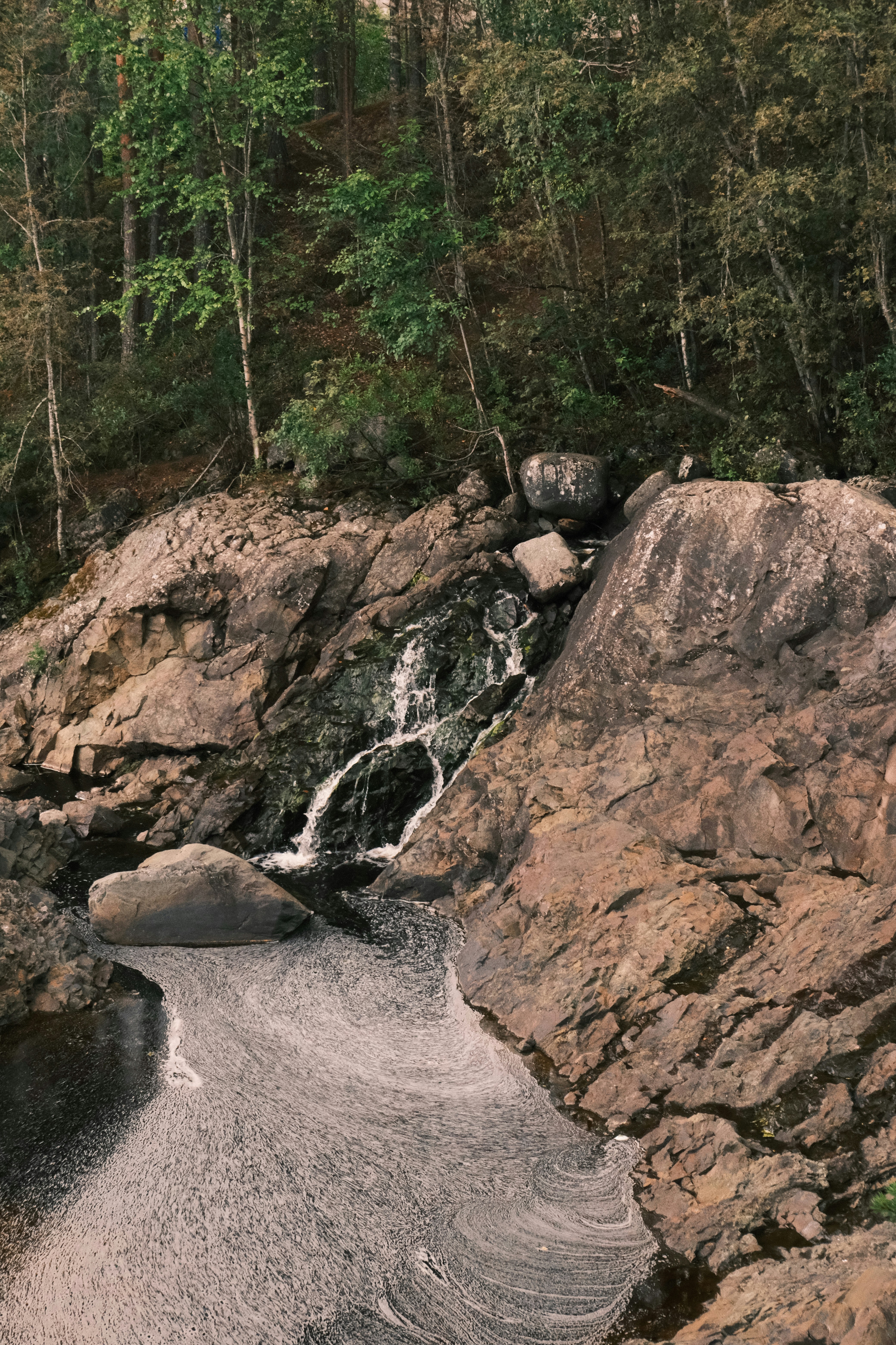 Rugged riverside canyon: boulders, waterfall, and forest edge