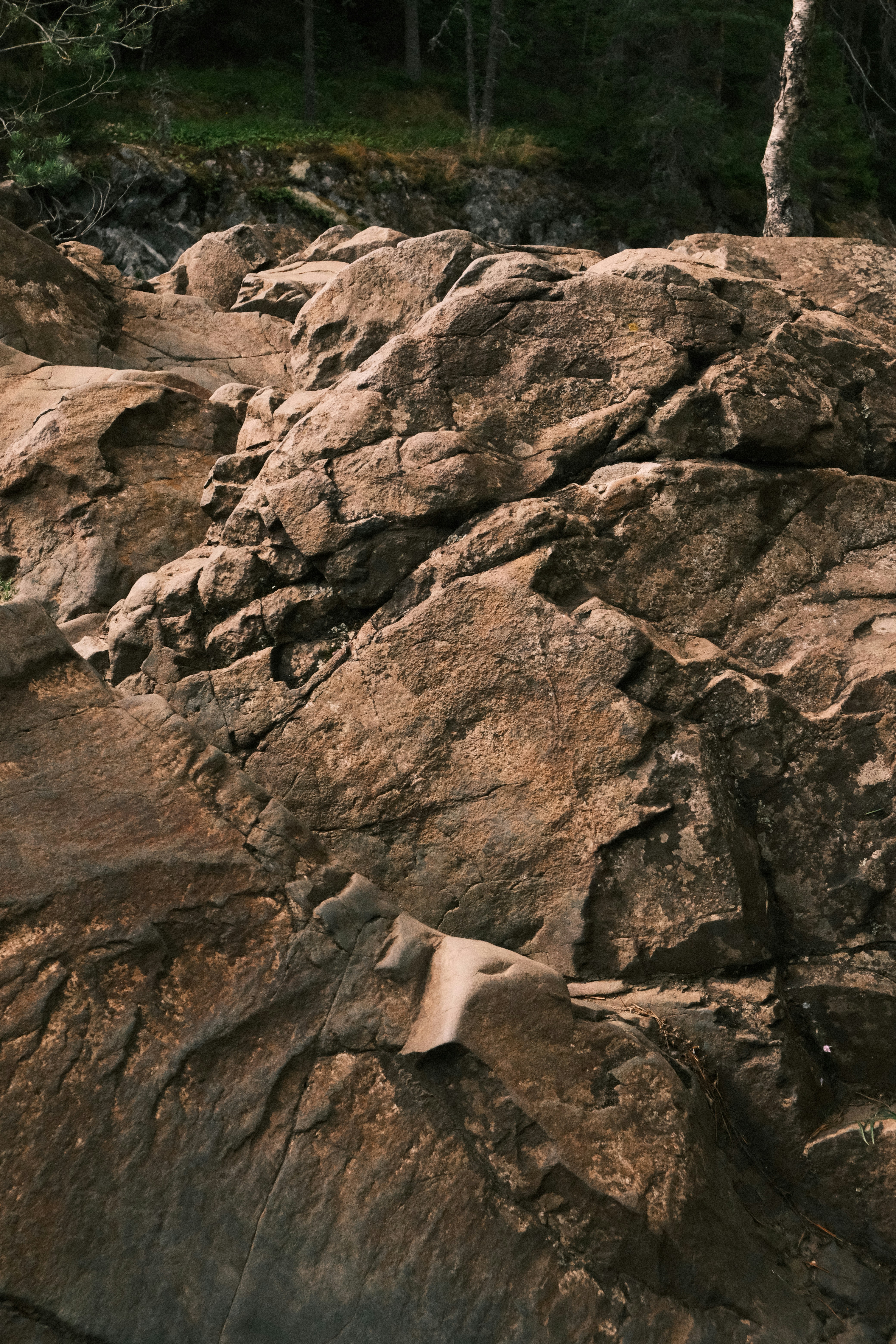 Rugged shoreline of weathered granite emerging from forest edge