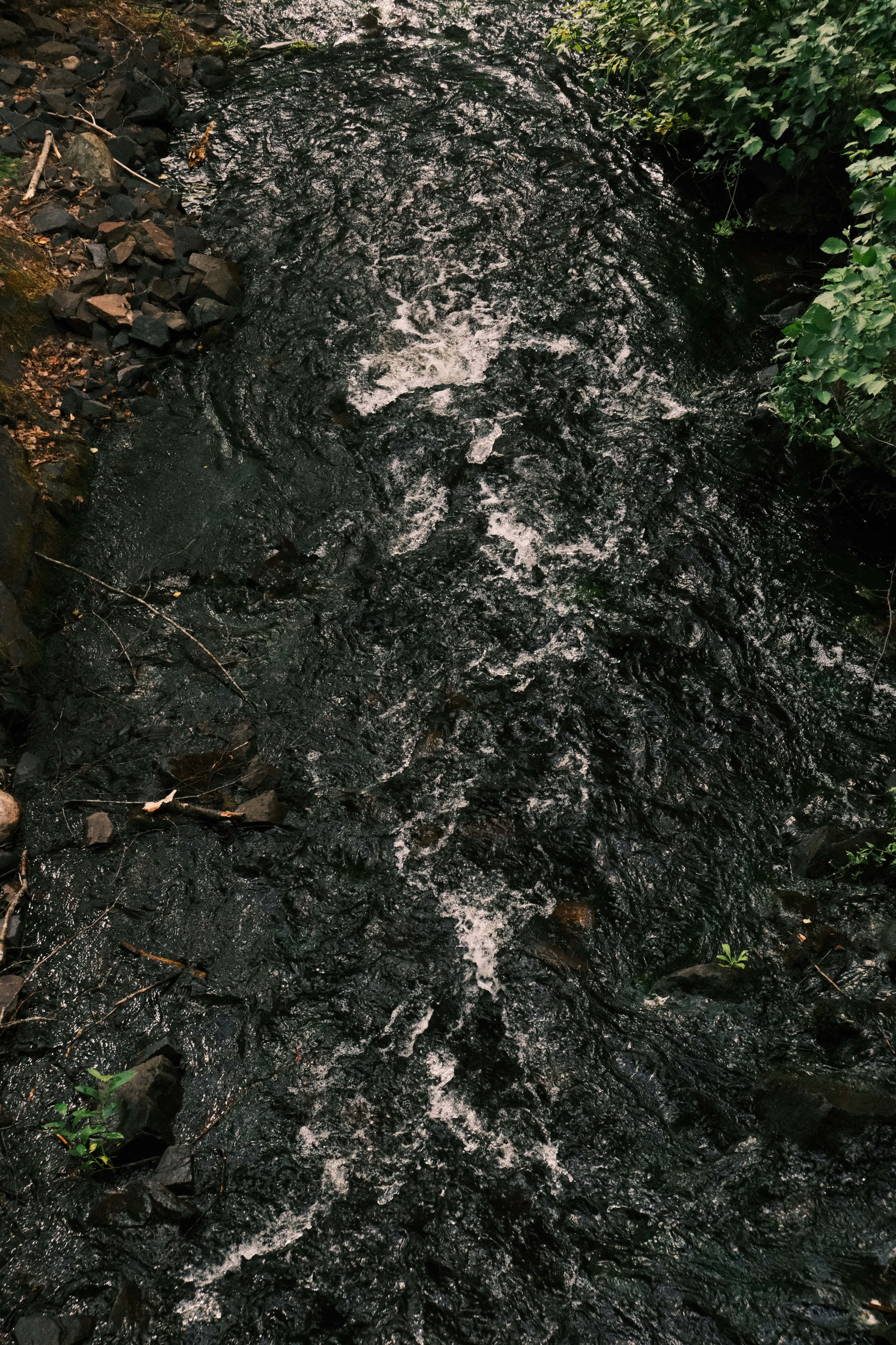 Rushing Stream through Shaded Gorge