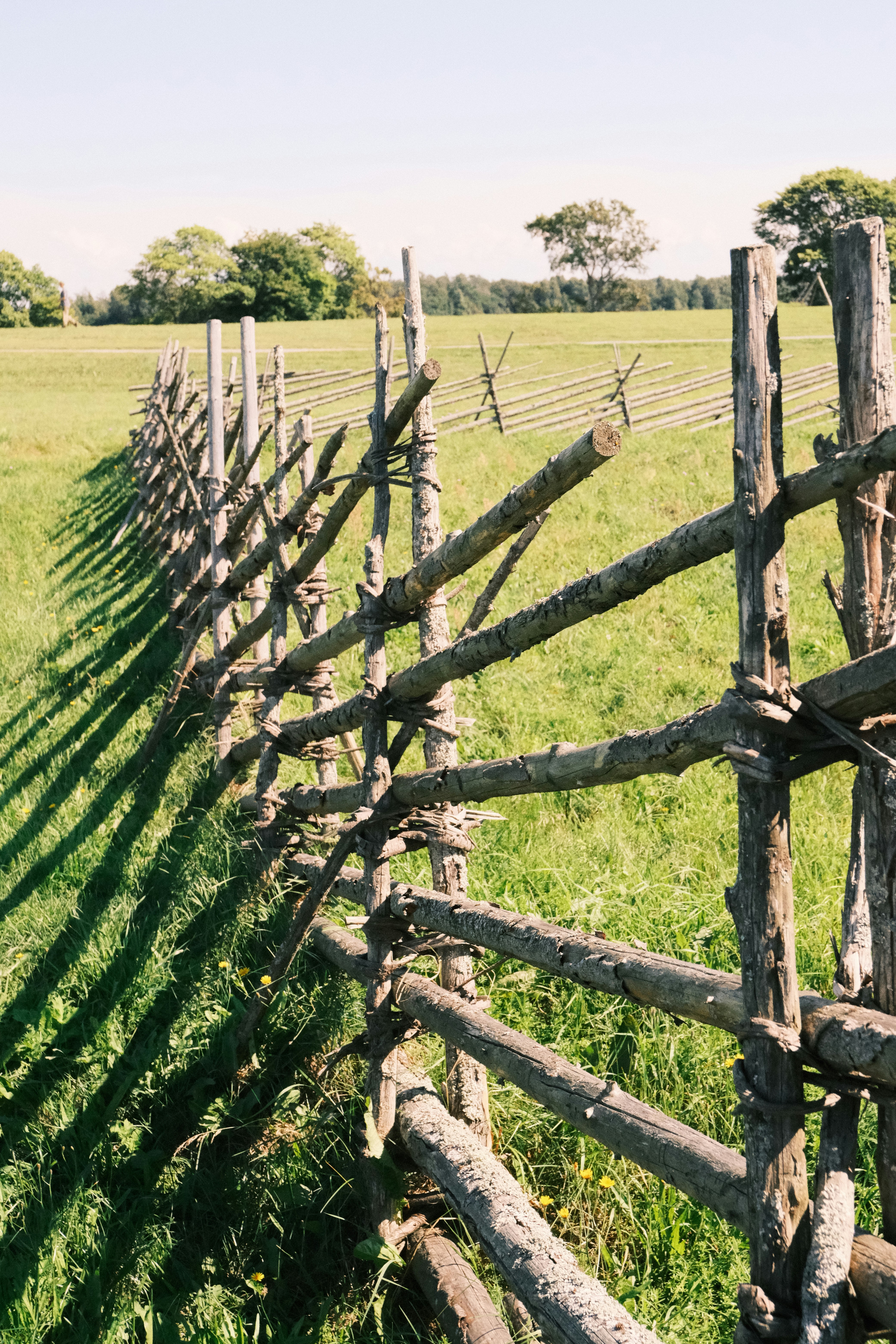Lines of Time: A Wooden Fence Runs through Idyllic Pasture