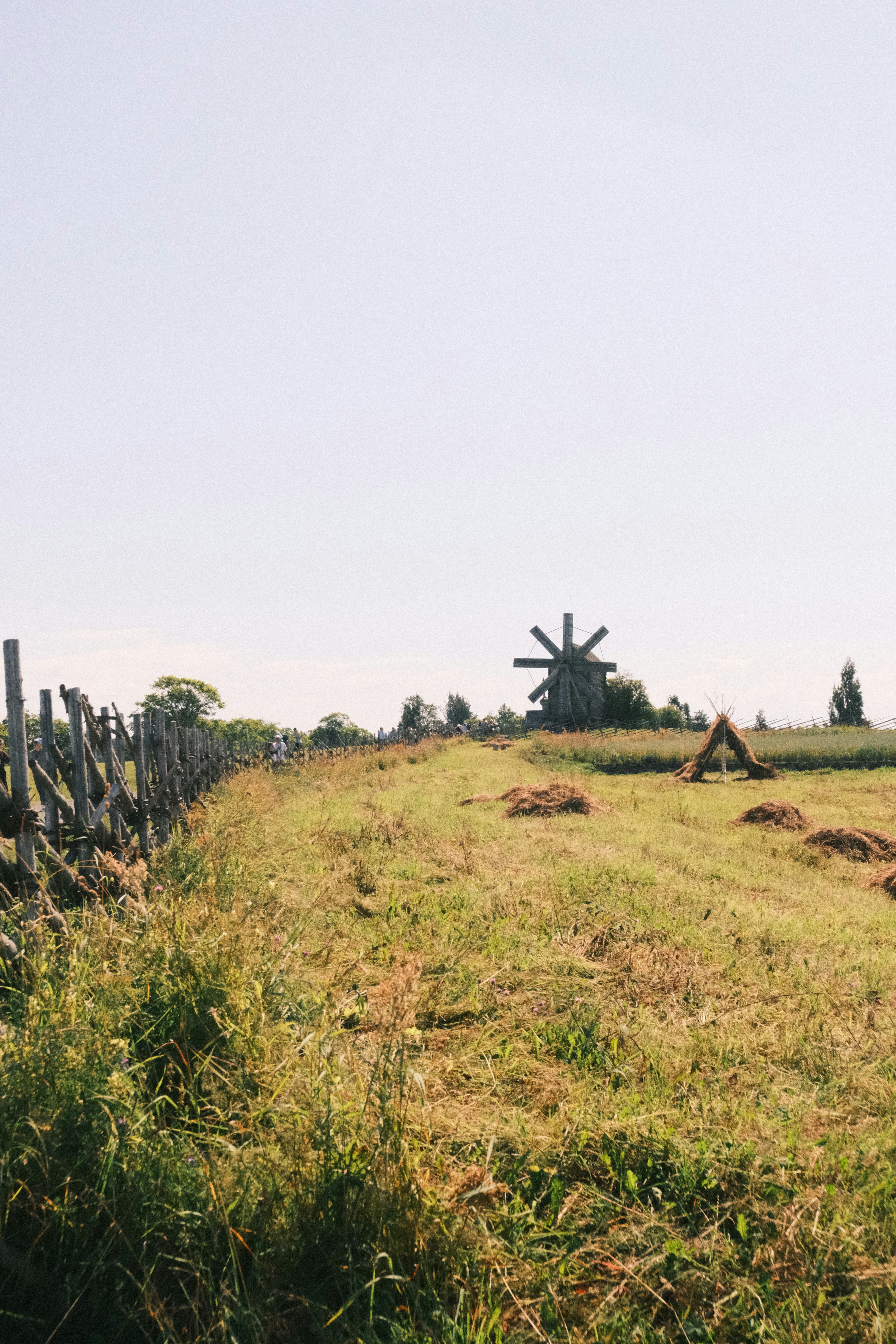 Rustic Windmill Horizon: A Quiet Farmland Scene