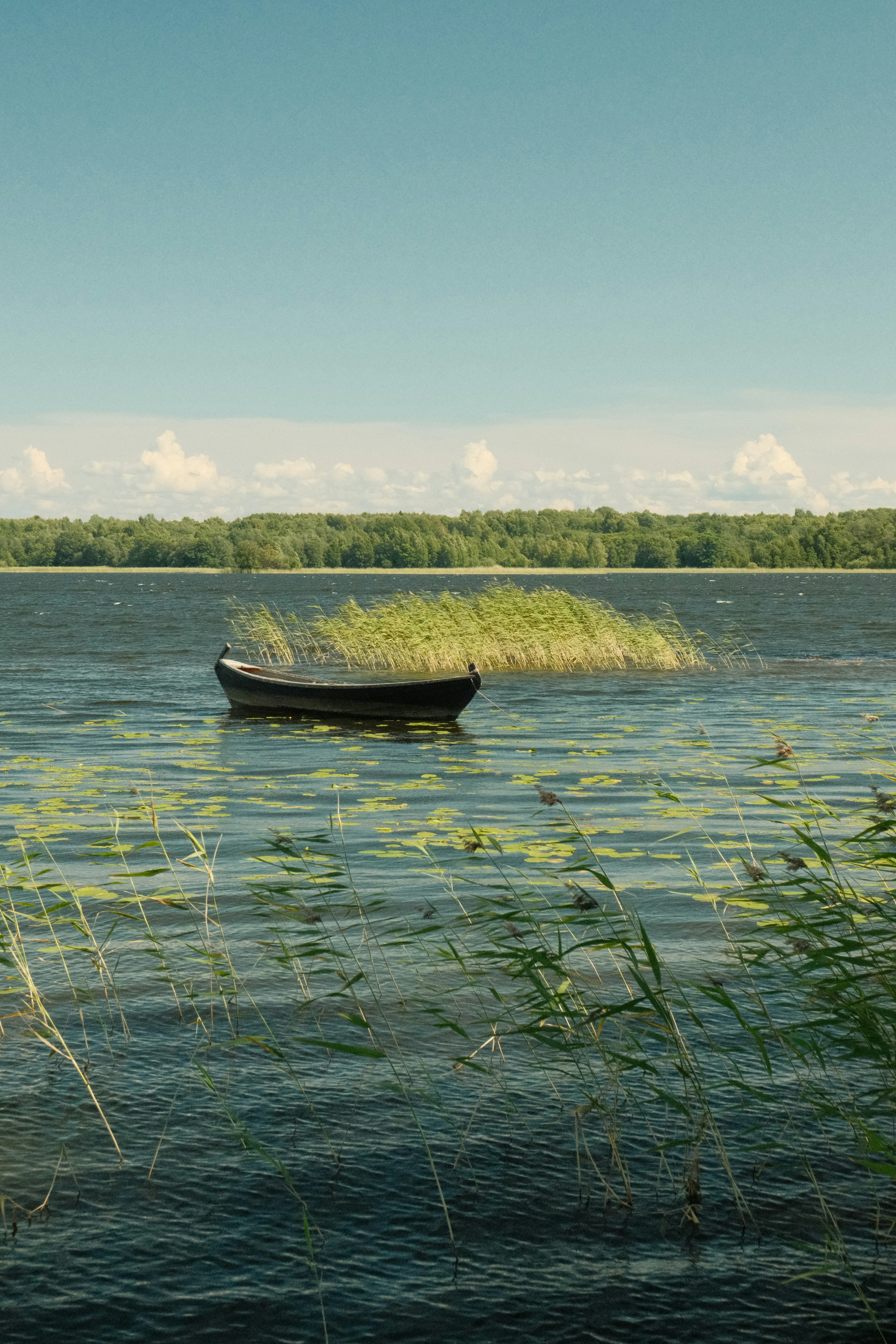 Boat Resting on a Quiet Lake Amid Reeds at Dusk