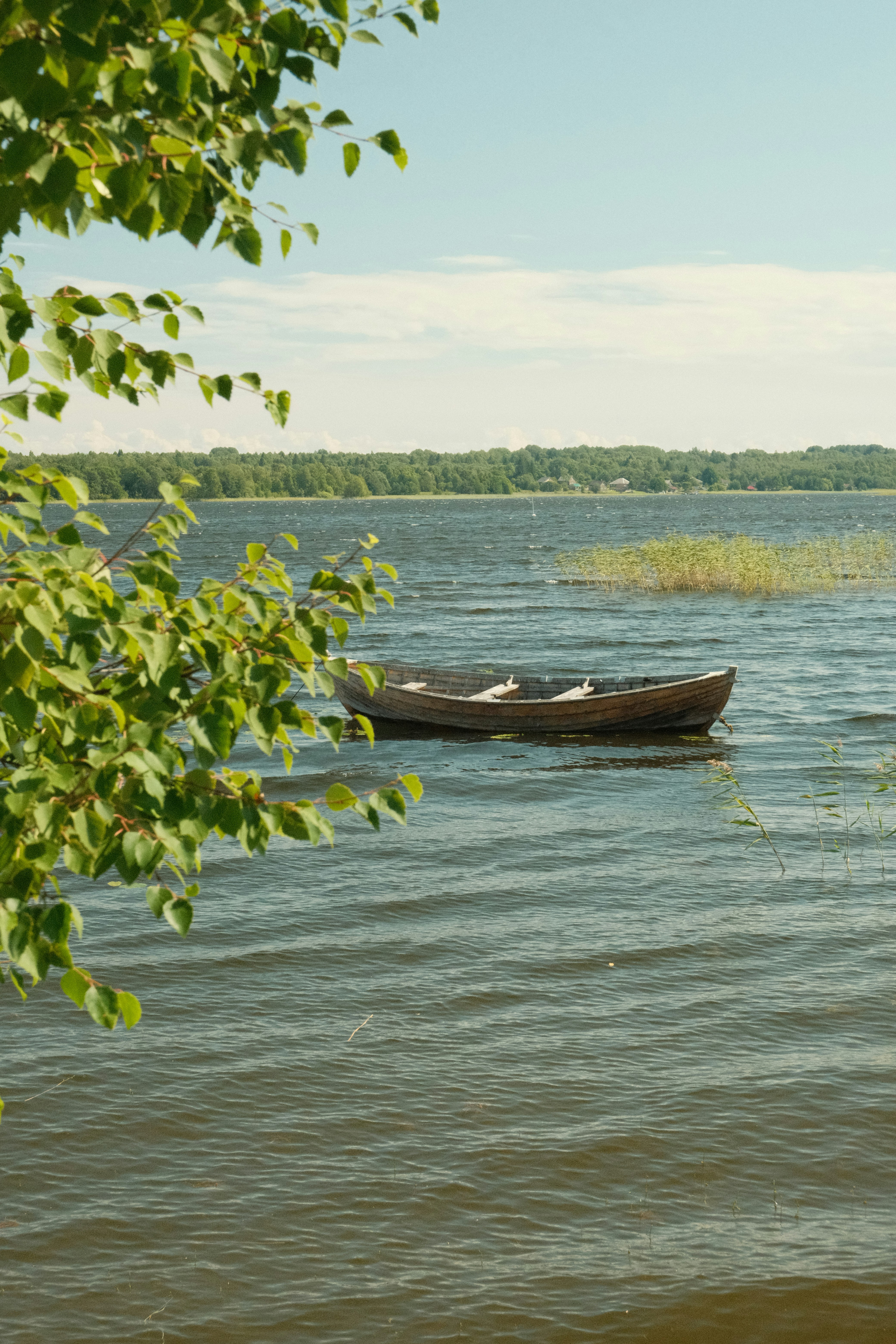 Rowboat at the Shoreline: Quiet Moment by the Calm Lake