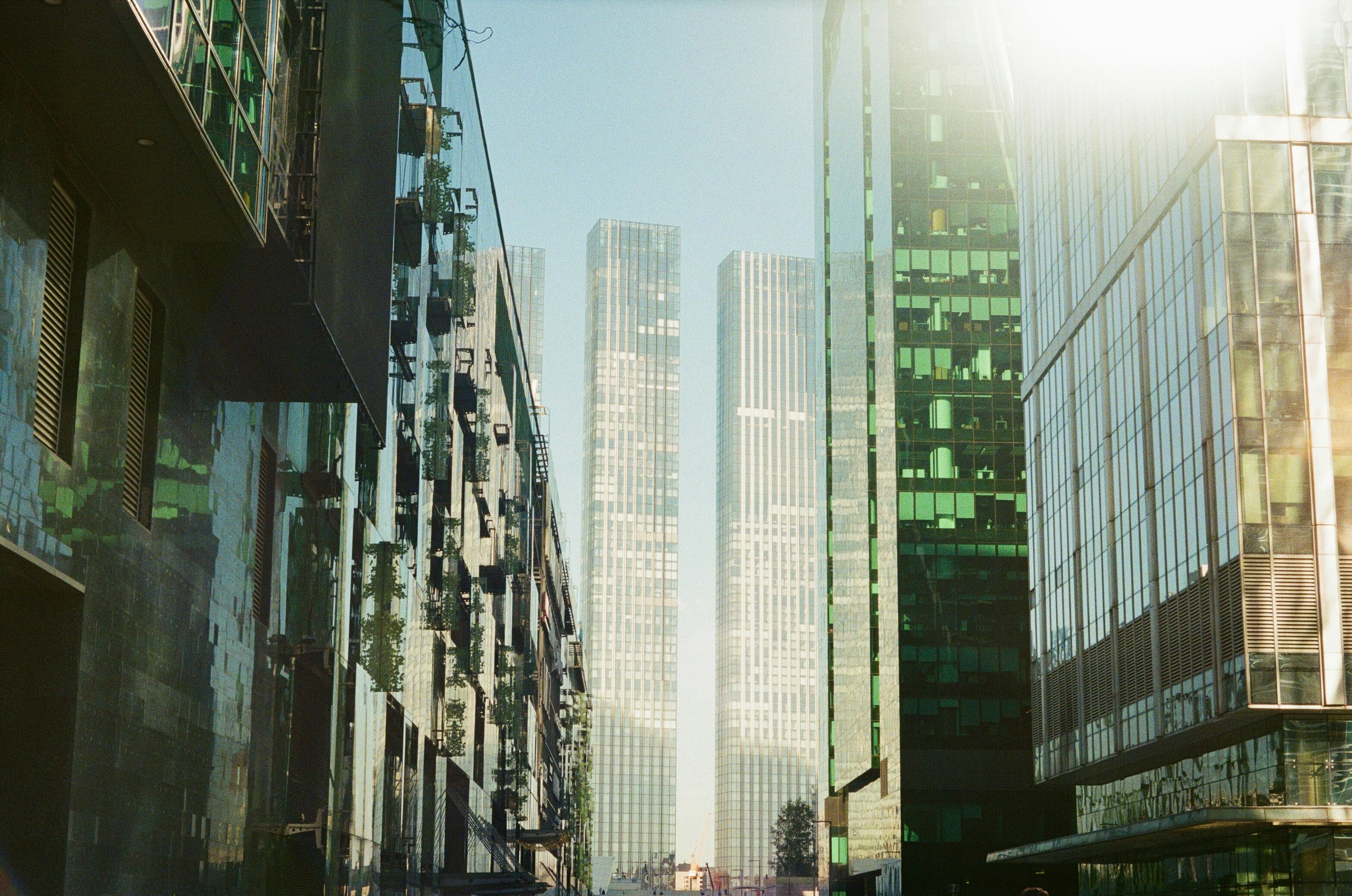 Glass Canopy Sunrise Over a Street of Steel